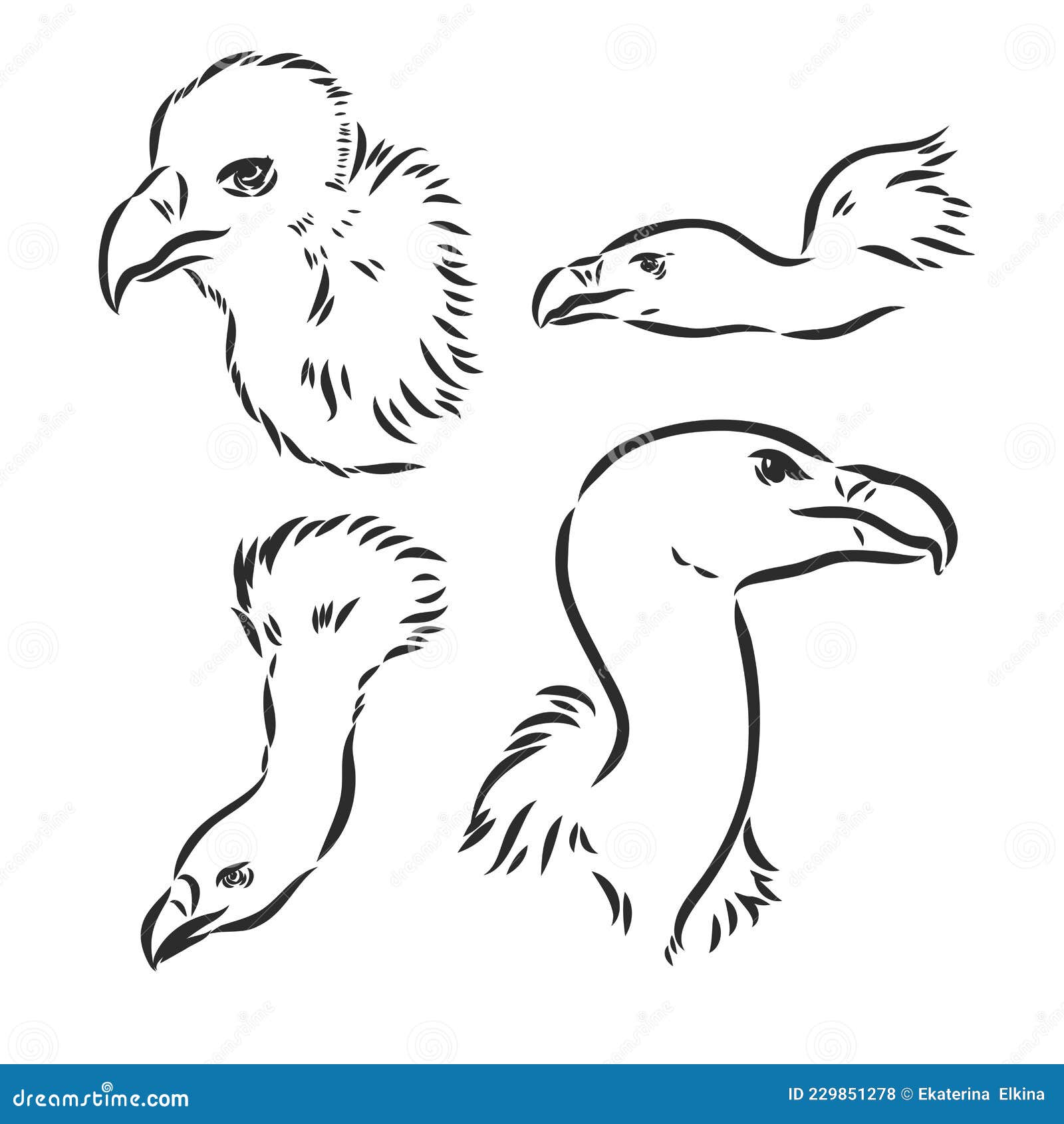 Drawing of Vulture by Line Vulture Vector Stock Vector - Illustration ...