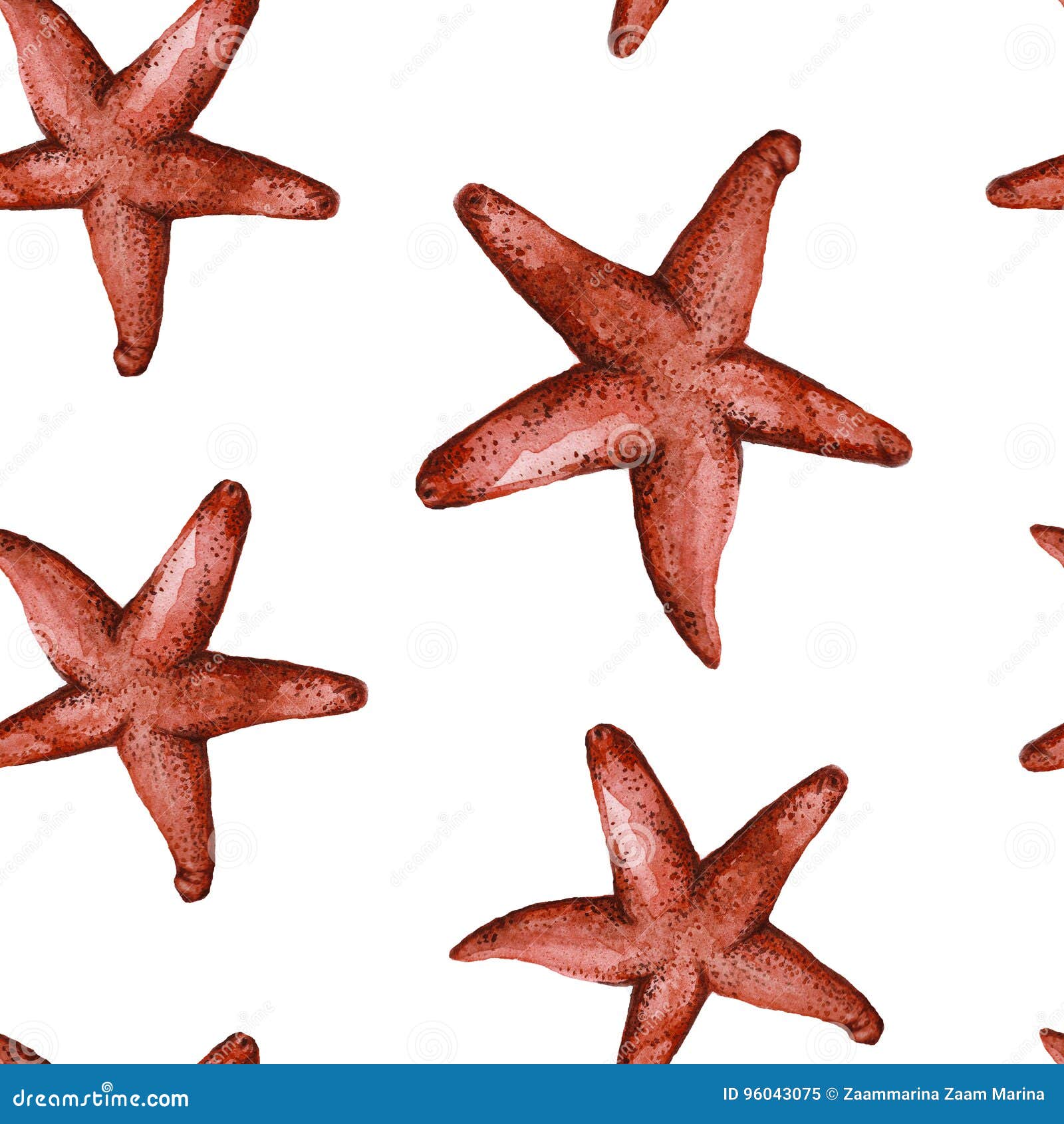 Drawing with Watercolor Red Starfish in the Class of Invertebrates Such ...