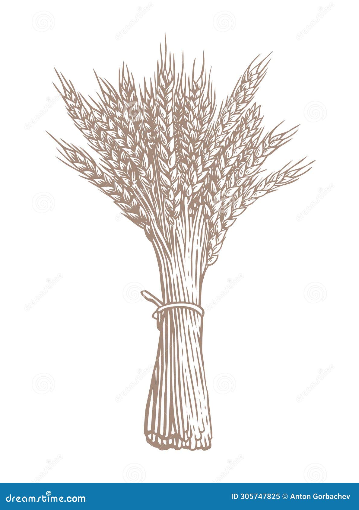 Wheat Sheaf With Sickle Harvest Symbol Cartoon Vector | CartoonDealer ...