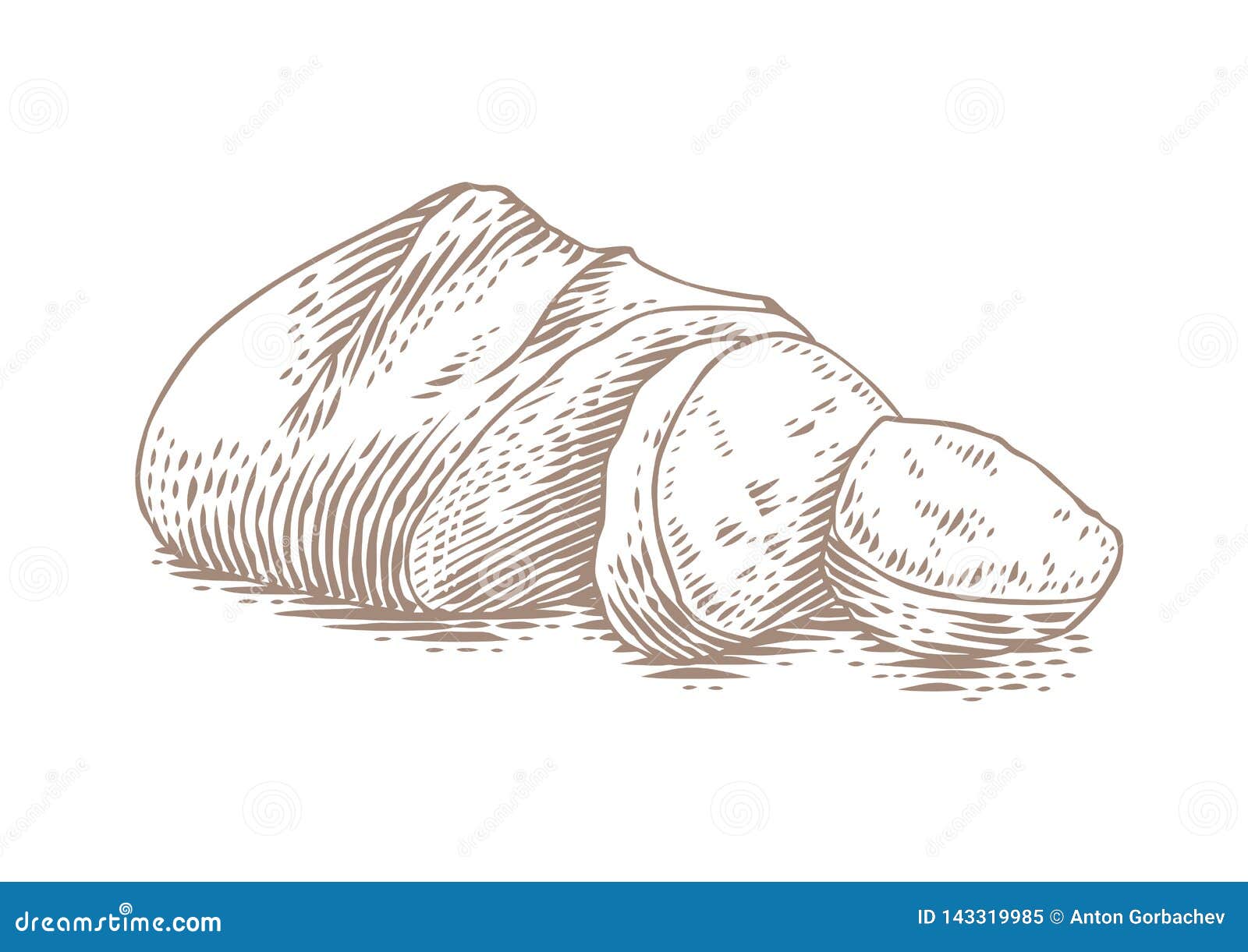 Drawing of white bread stock vector. Illustration of pastry - 143319985