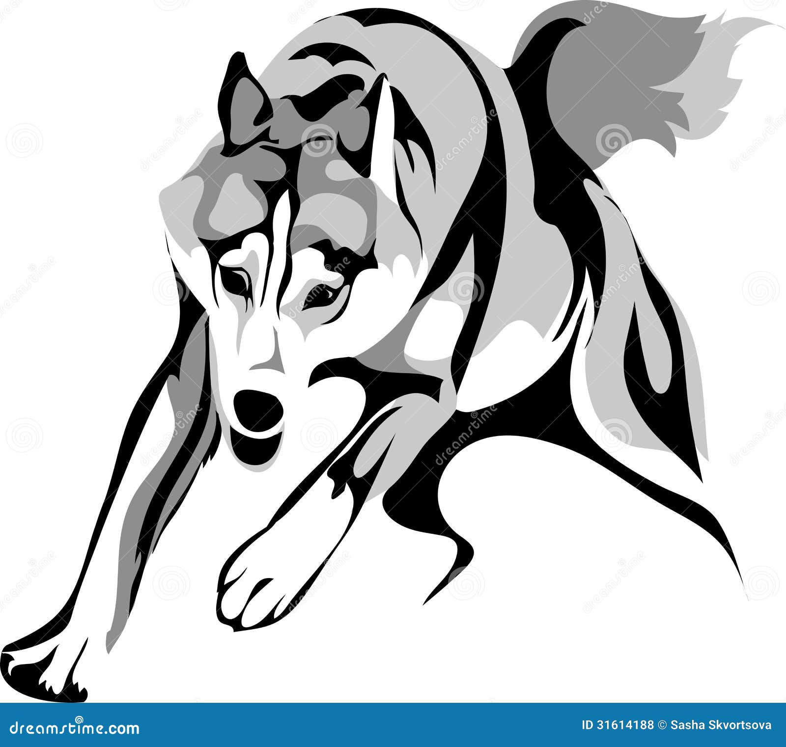 Drawing a wolf attacker stock vector. Illustration of drawing - 31614188