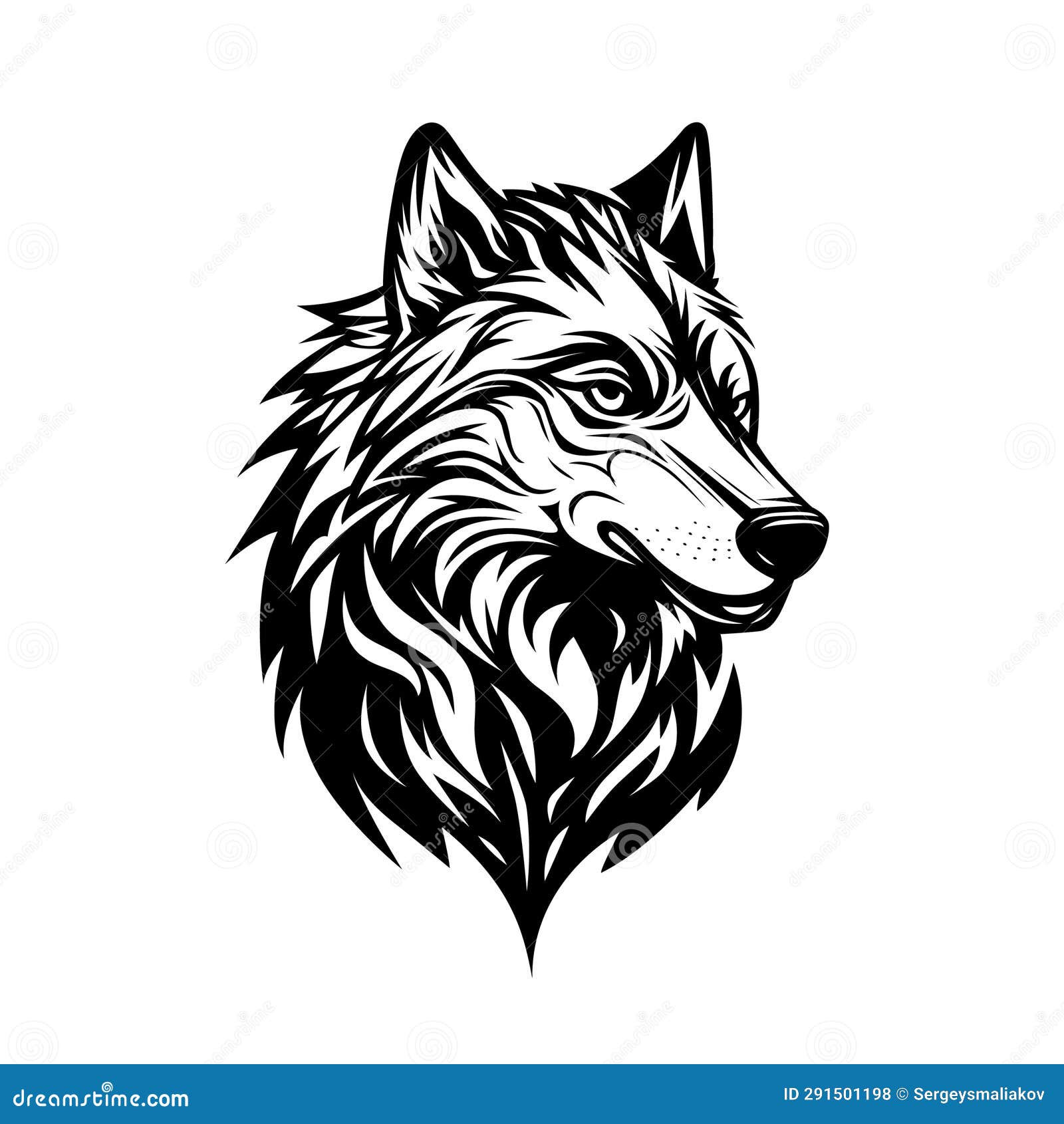 Drawing Of A Wolfs Head With Its Teeth Bared Vector Illustration ...