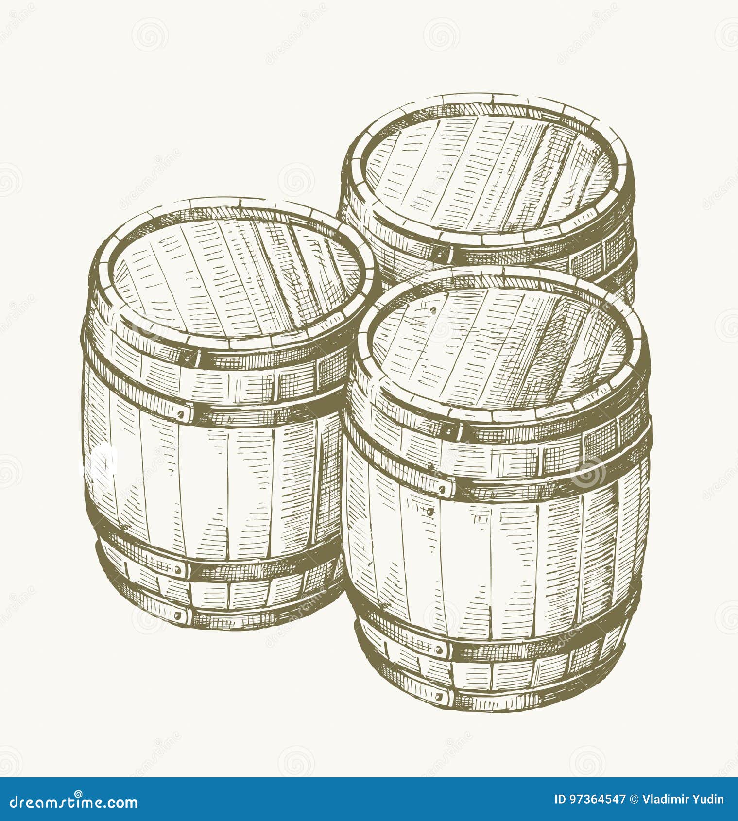 Ink Drawing Wood Twigs Vector Illustration | CartoonDealer.com #71130796