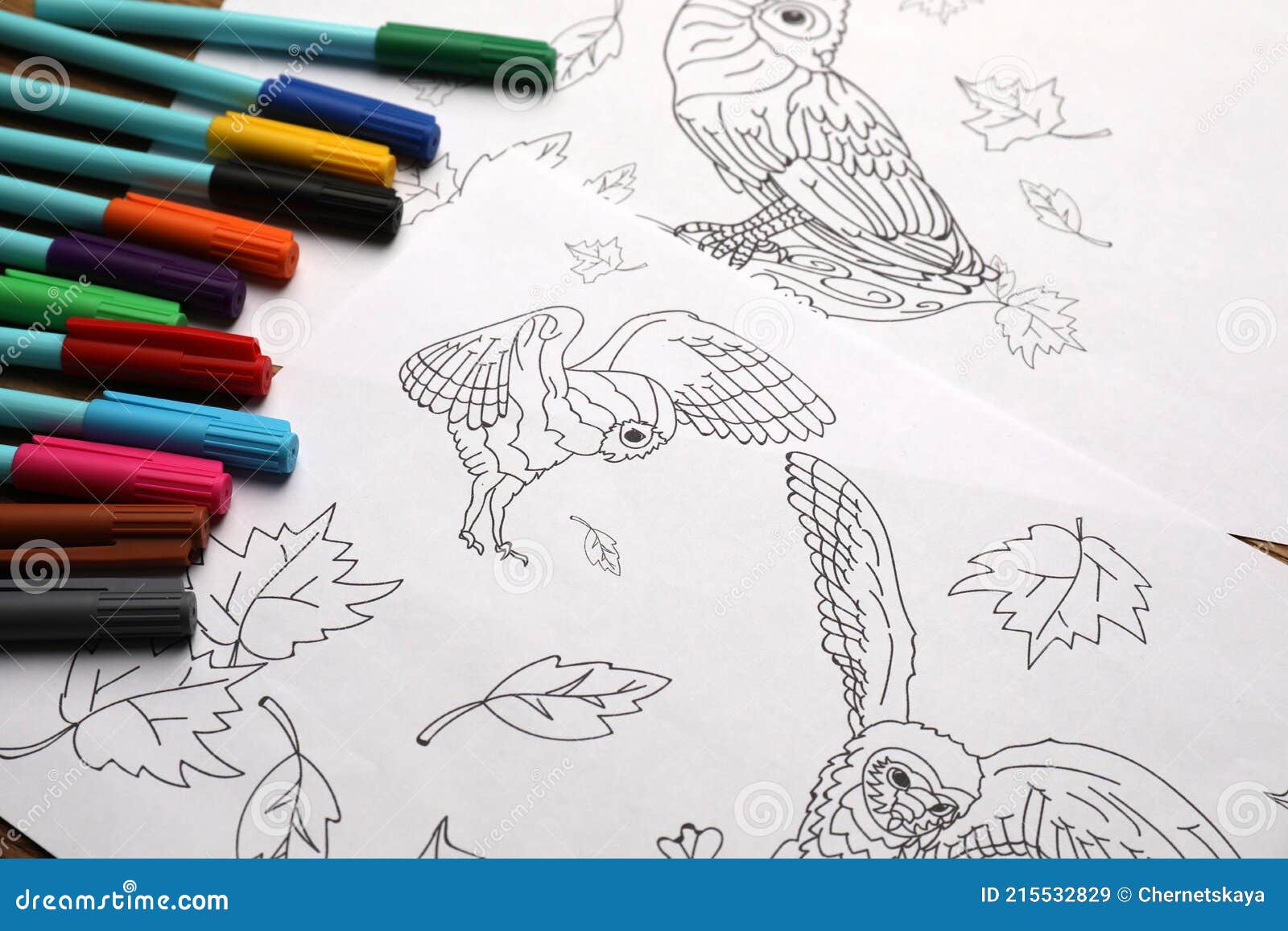Drawings for Coloring and Felt Tip Pens on Table, Closeup Stock Image ...