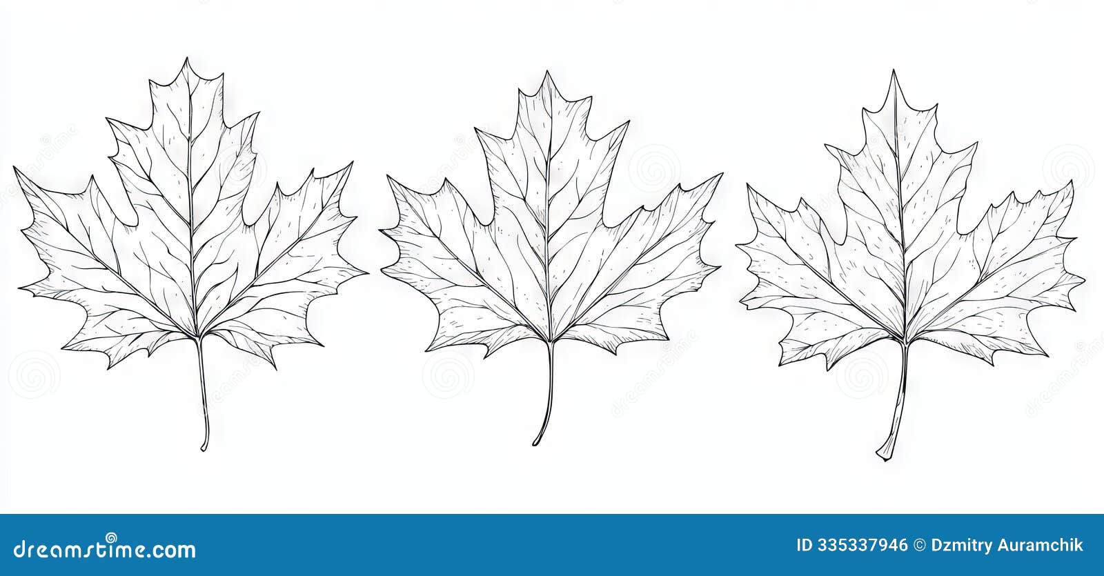Drawings of Maple Leaves on Continuous Lines. Minimal Design, Simple ...