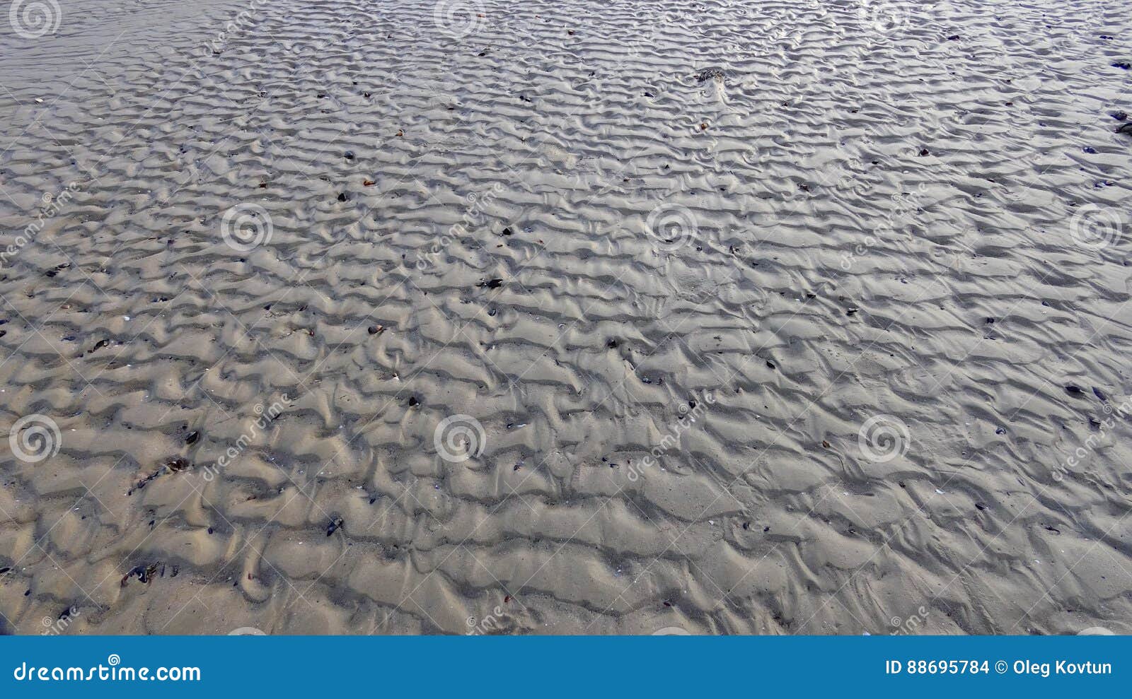 Drawings on the Muddy Bottom of the Ebb Field, the Reflection of Stock ...