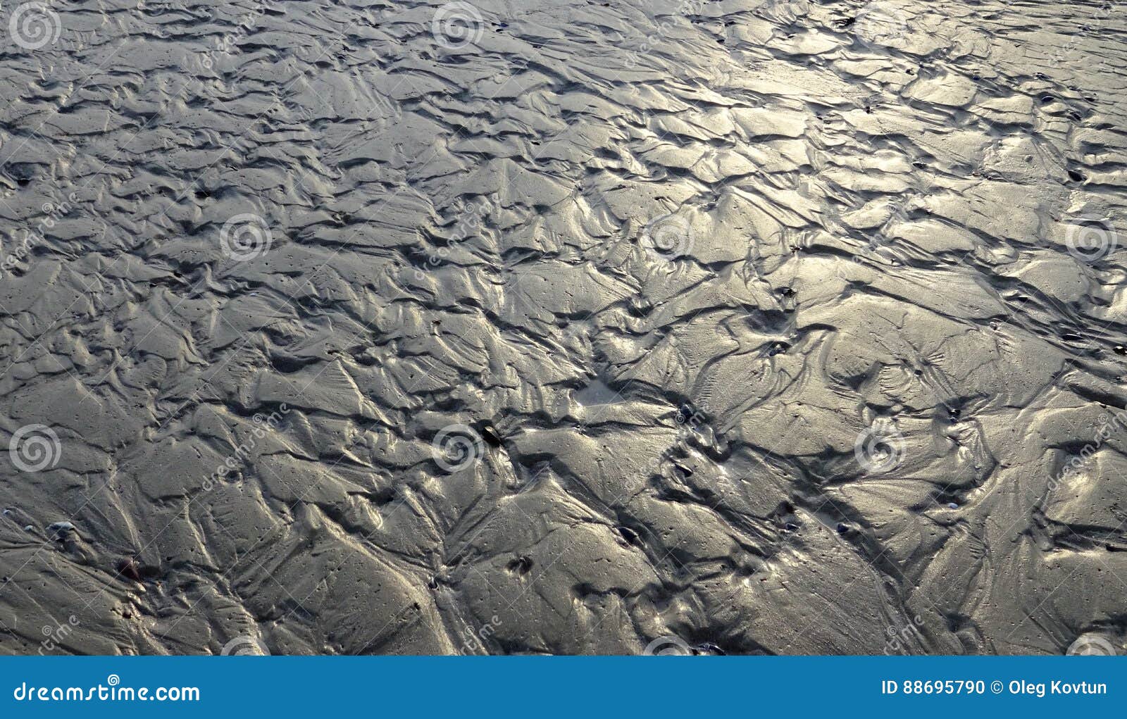 230 Ebb Field Photos - Free & Royalty-Free Stock Photos from Dreamstime