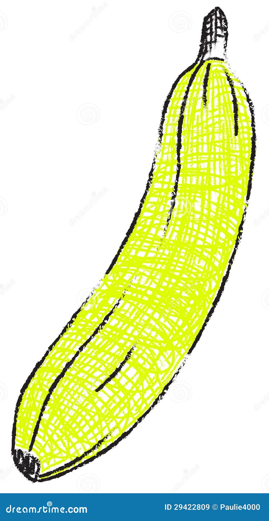 Drawn Banana stock vector. Illustration of fruit, sketching - 29422809