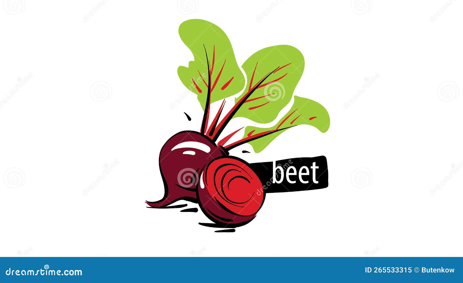 Drawn Beet Isolated on a White Background Stock Illustration ...