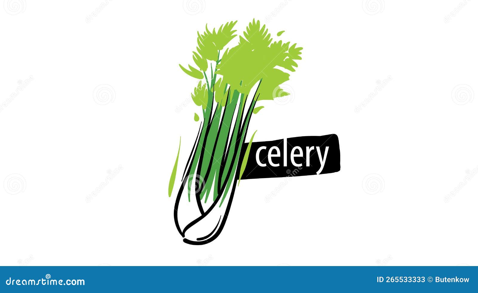 Drawn Celery Isolated on a White Background Stock Vector - Illustration ...