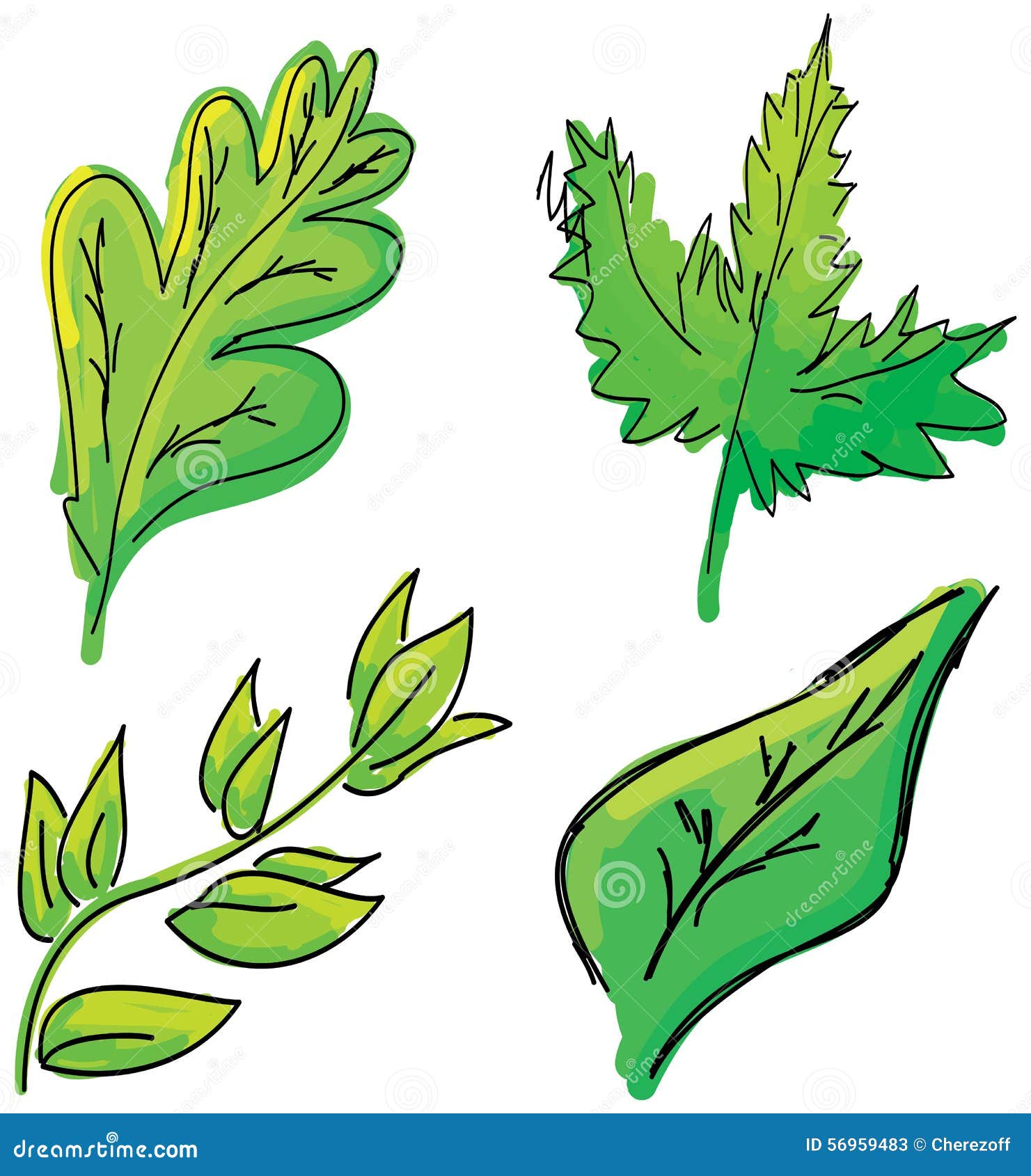 Drawn Colored Green Leaves on White. Vector Stock Vector - Illustration ...