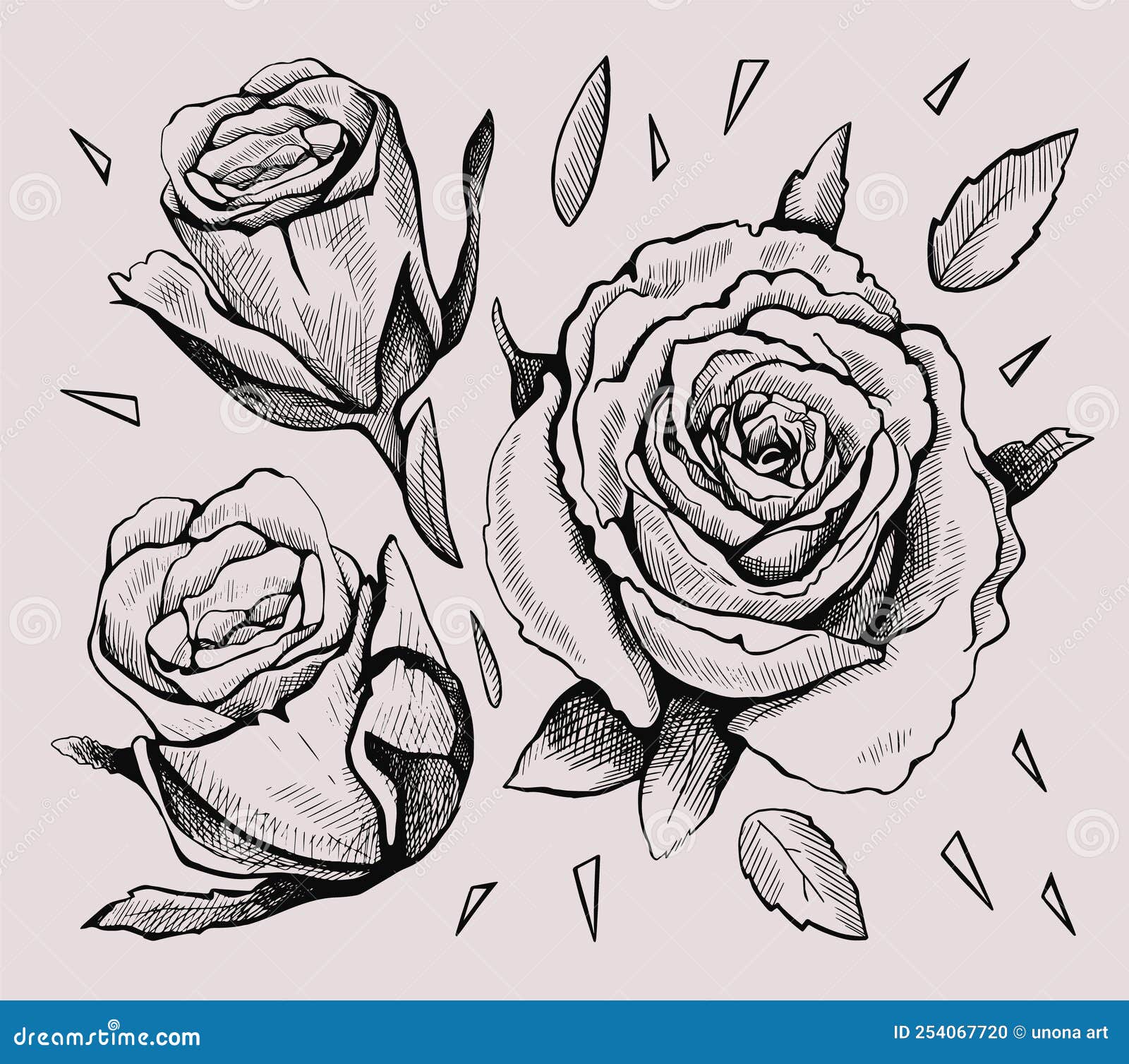 Drawn Graphic Rose. Vector Illustration Stock Illustration ...
