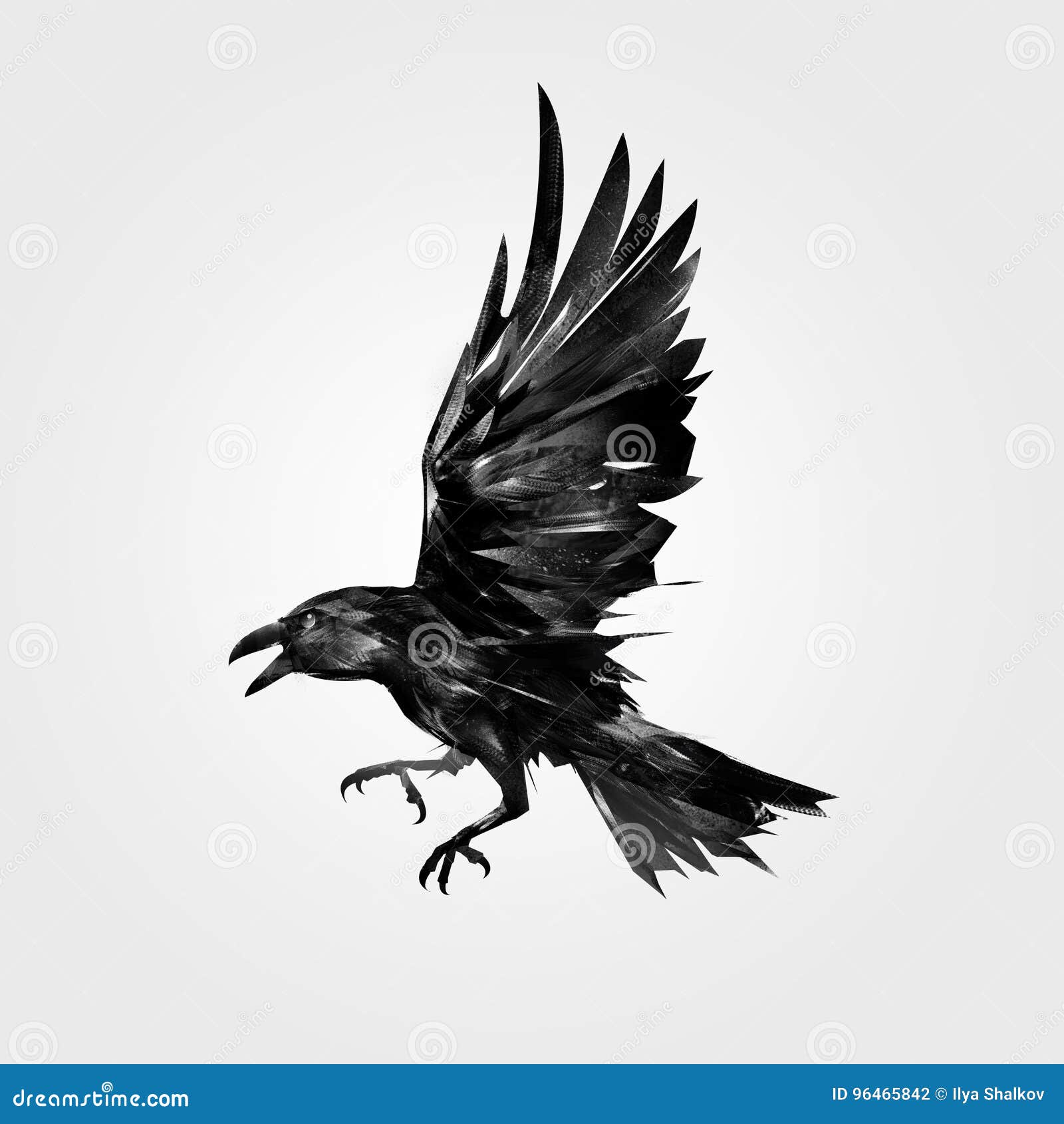 Drawn Isolated the Attacking Bird Raven Stock Illustration ...