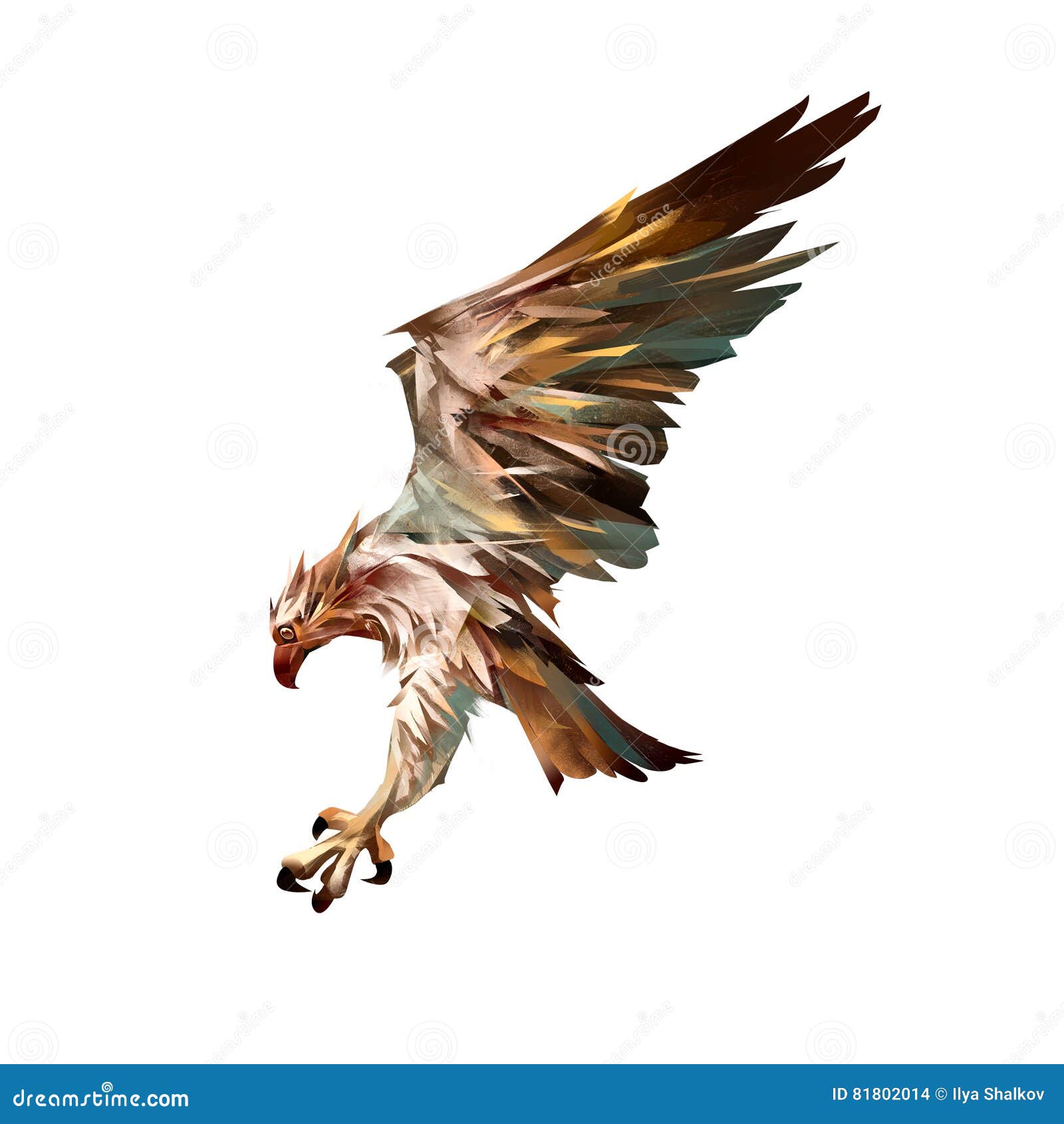 Drawn Isolated Attacking Osprey Stock Illustration - Illustration of ...