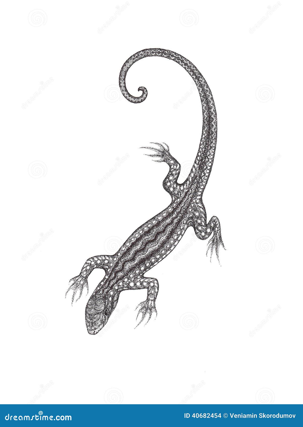 The Drawn Lizard on a White Background in the Style of Pointillism ...