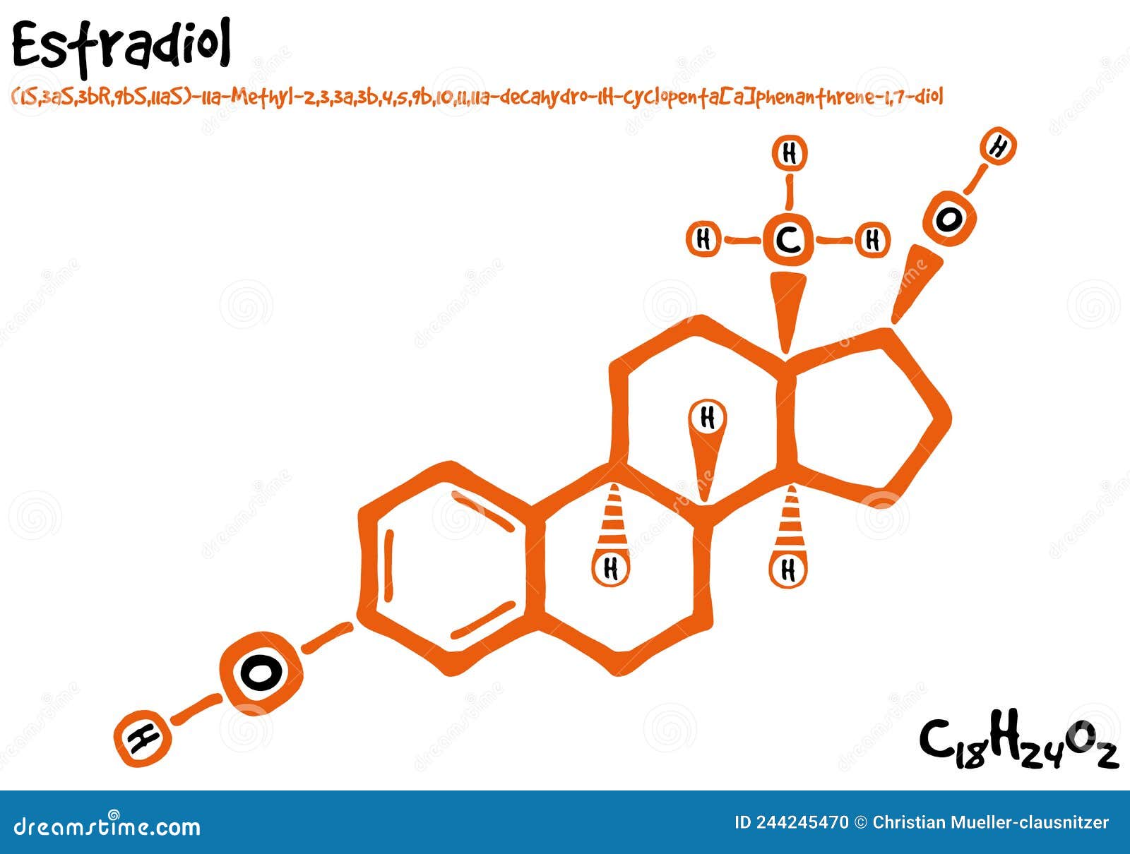 Drawn Molecule and Formula of Estradiol Stock Vector - Illustration of ...
