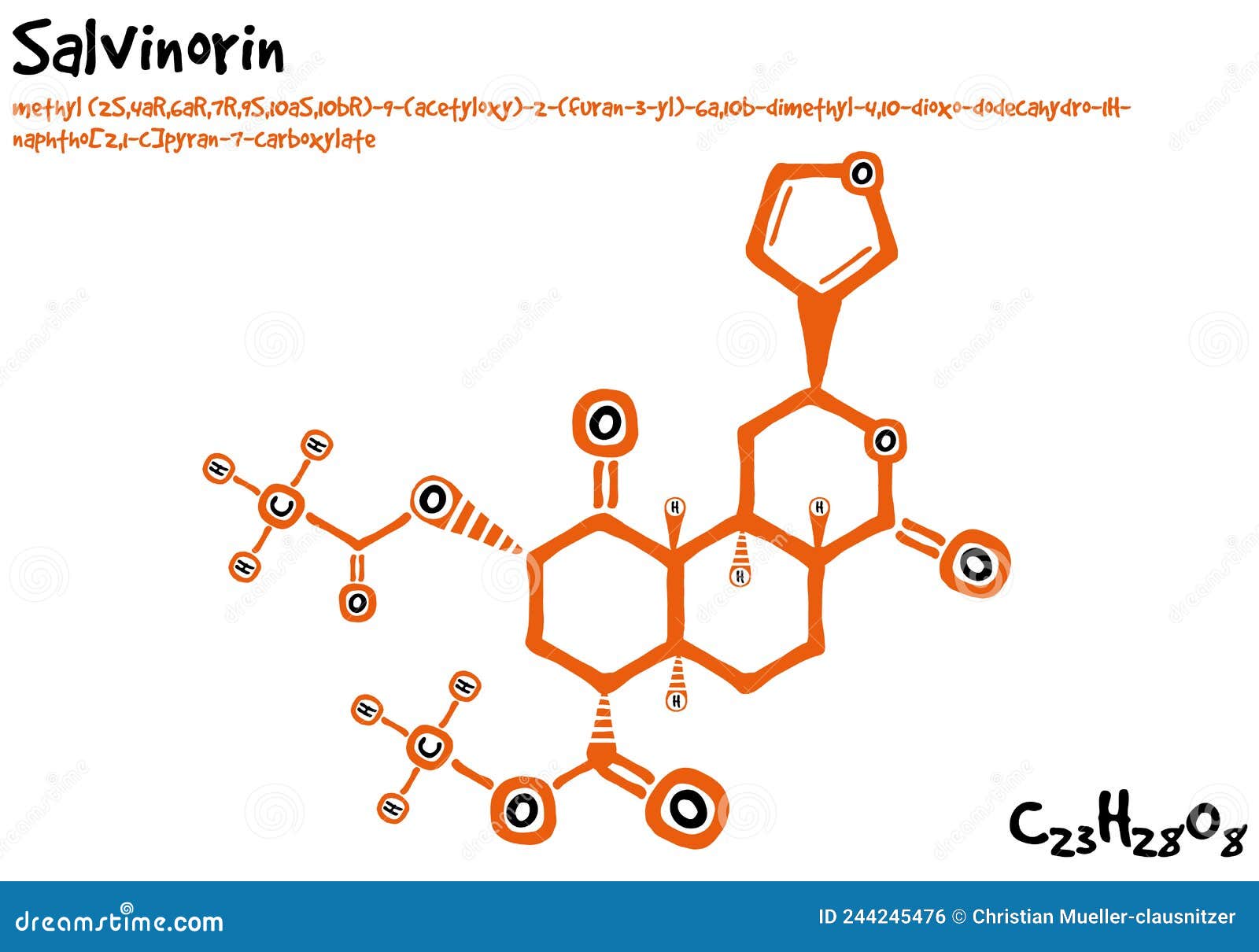 Drawn Molecule and Formula of Salvinorin Stock Vector - Illustration of ...