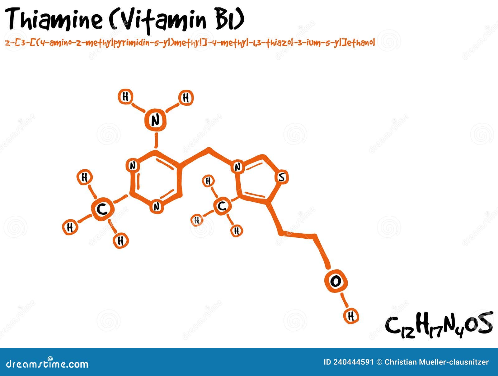 Drawn Molecule and Formula of Thiamine Stock Vector - Illustration of ...