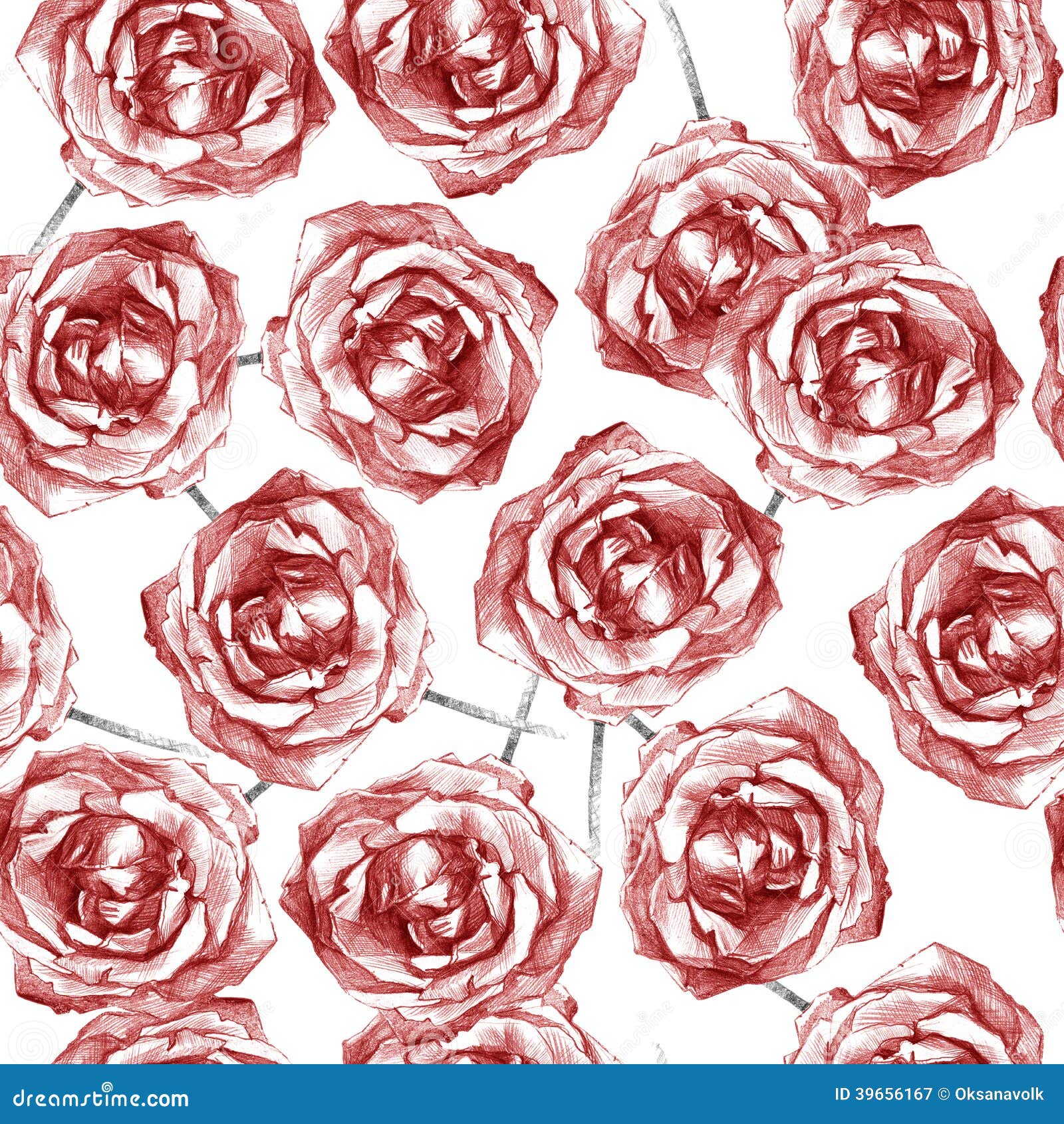 Drawn Red Roses on White Beautiful Seamless Pattern Stock Illustration ...