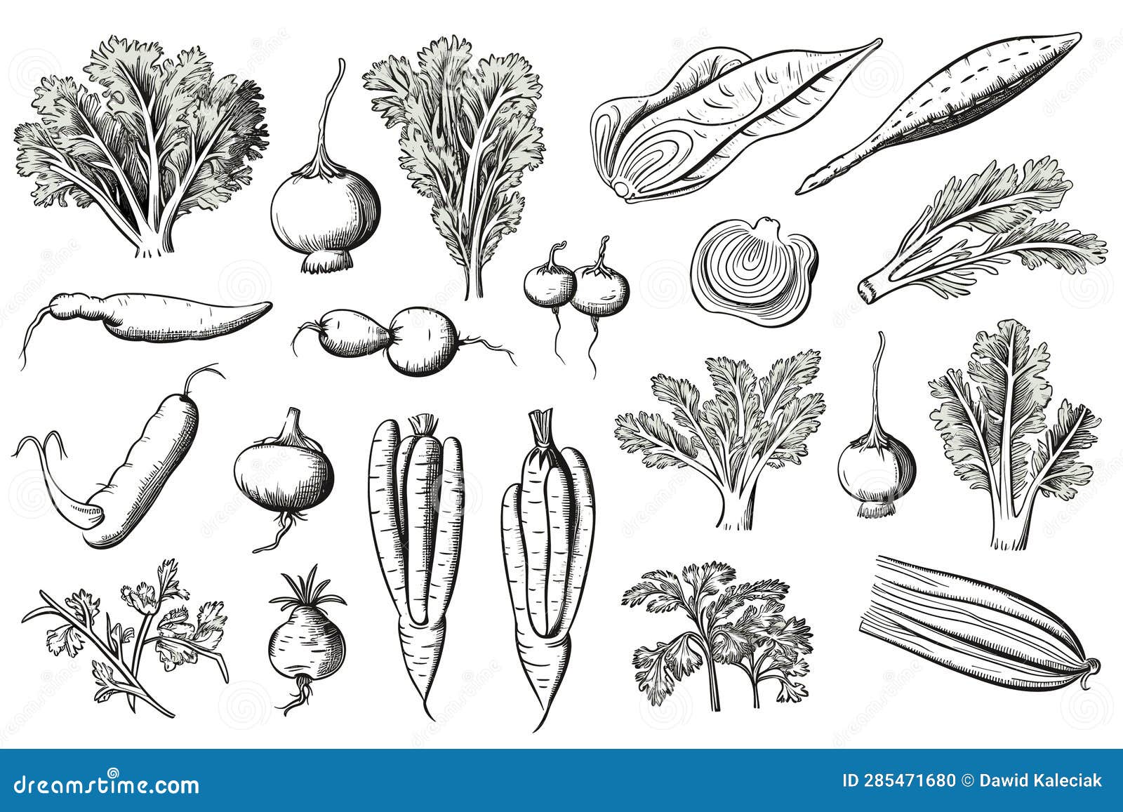 Vegetable Elements Set As Isolated Fresh And Healthy Food Product ...