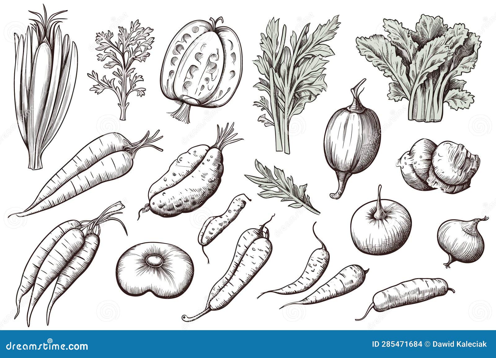 Vegetable Elements Set As Isolated Fresh And Healthy Food Product ...