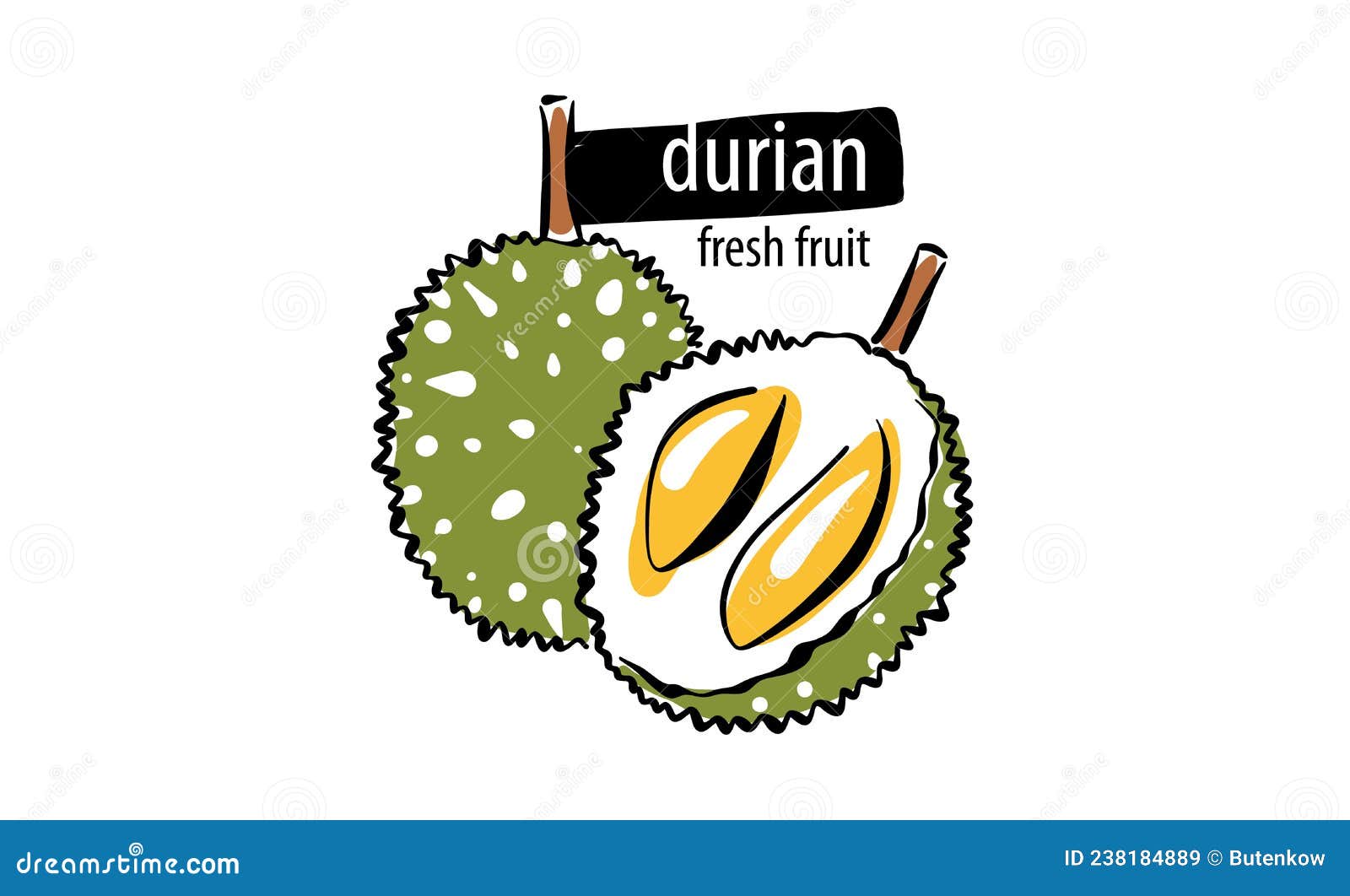 Vector Of Durian, Logo And Icon Durian Isolated On The White Background ...