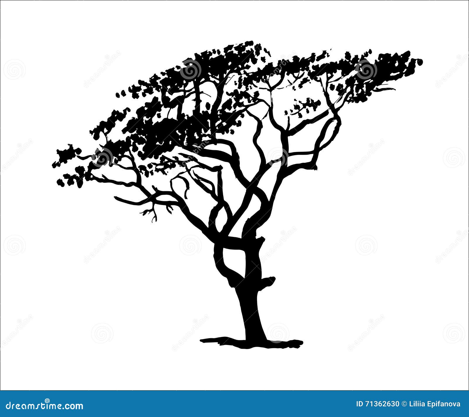 Drawing Dry Tree Sketch Illustration Cartoon Vector | CartoonDealer.com ...