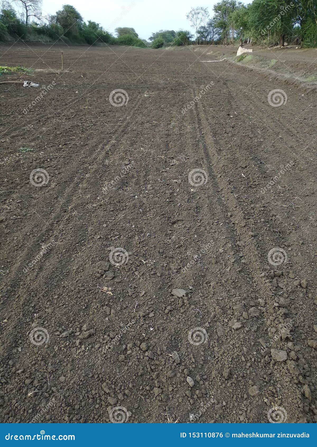 Dray farm in india stock photo. Image of barren, crope - 153110876