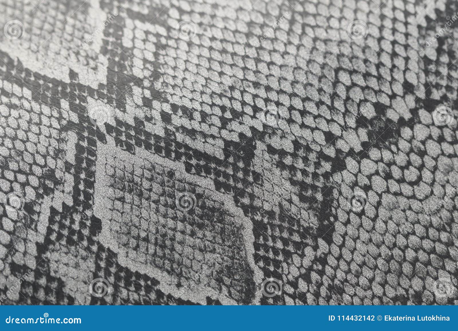 Dray-Hintergrund Gemacht Von Der Haut Einer Schlange Oder Von Der Haut ...