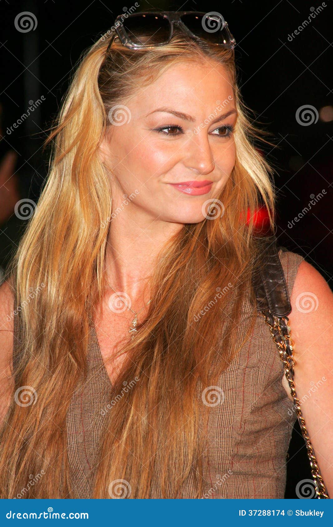 Drea De Matteo imagen de archivo editorial. Imagen de premier - 37288174