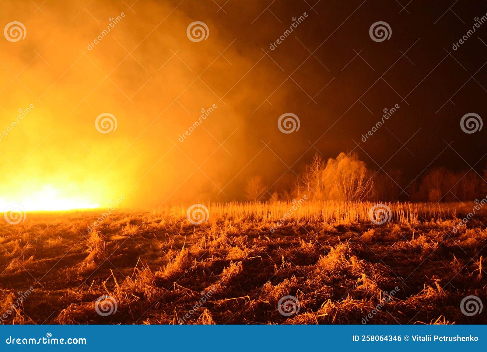 Dreadful View of Burning Old Forest by Uncontrolled Fire Stock Photo ...