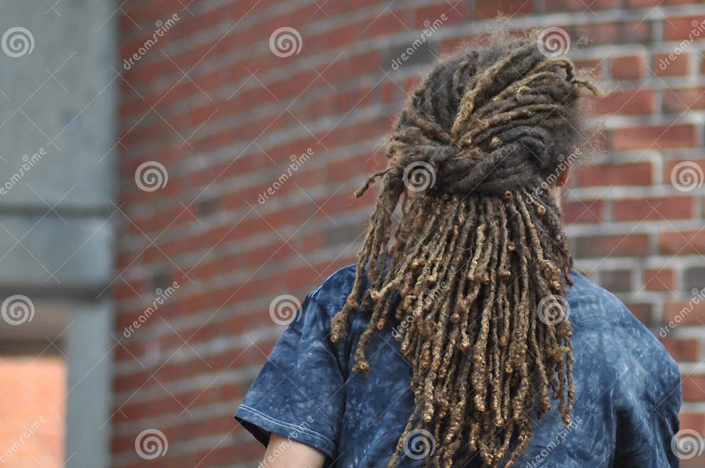 Dreadlocks stock image. Image of dread, pony, dreads - 14538711