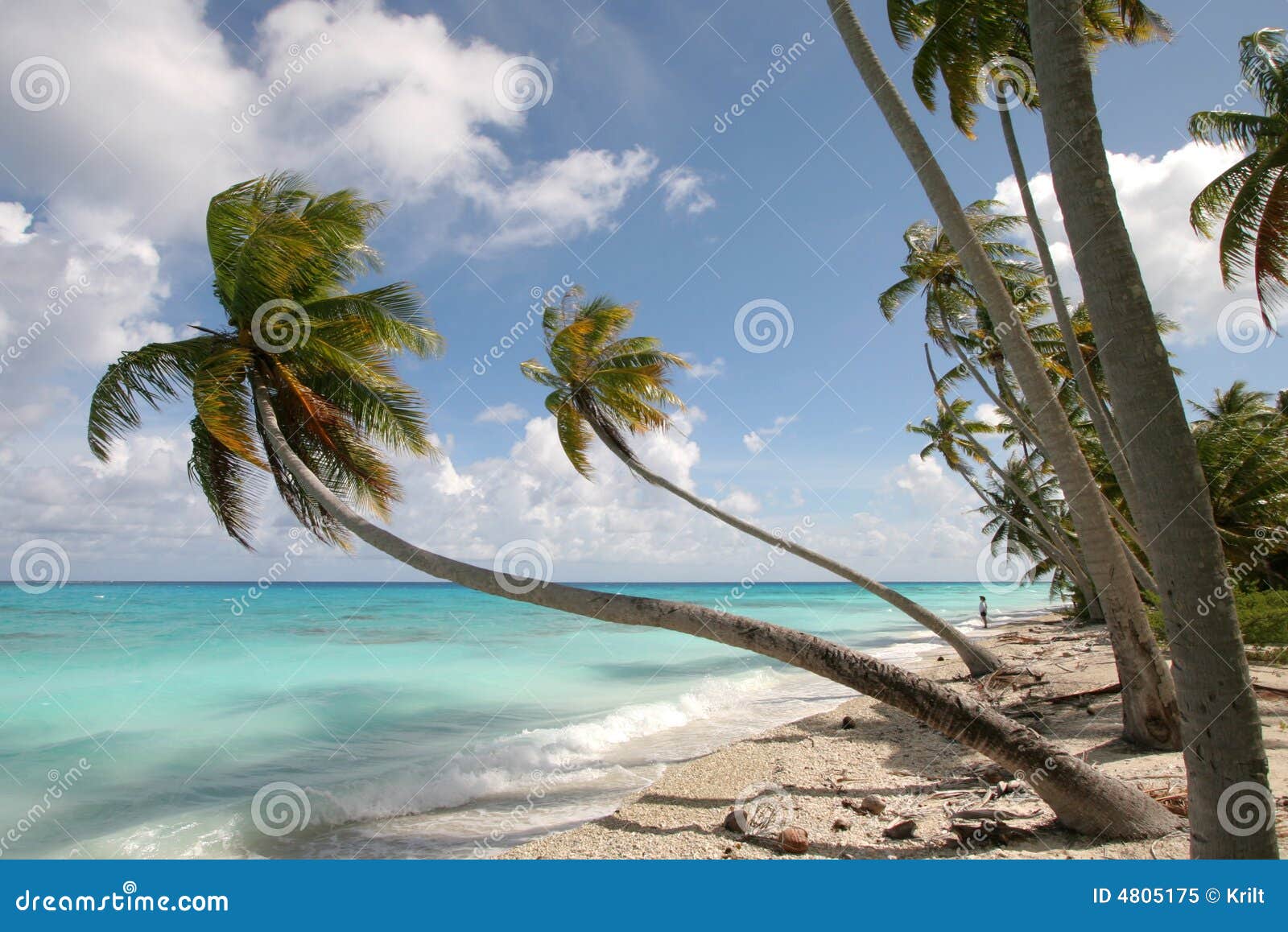 Dream Beach stock image. Image of french, lagoon, impossible - 4805175