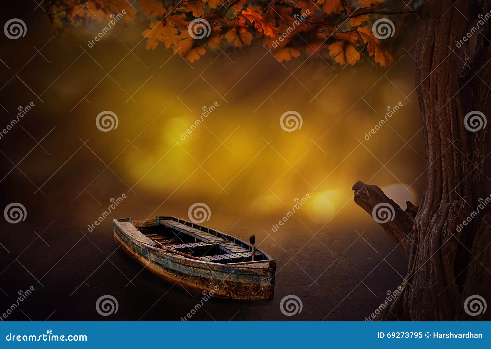 A Boat And Tree Stock Image | CartoonDealer.com #9223405