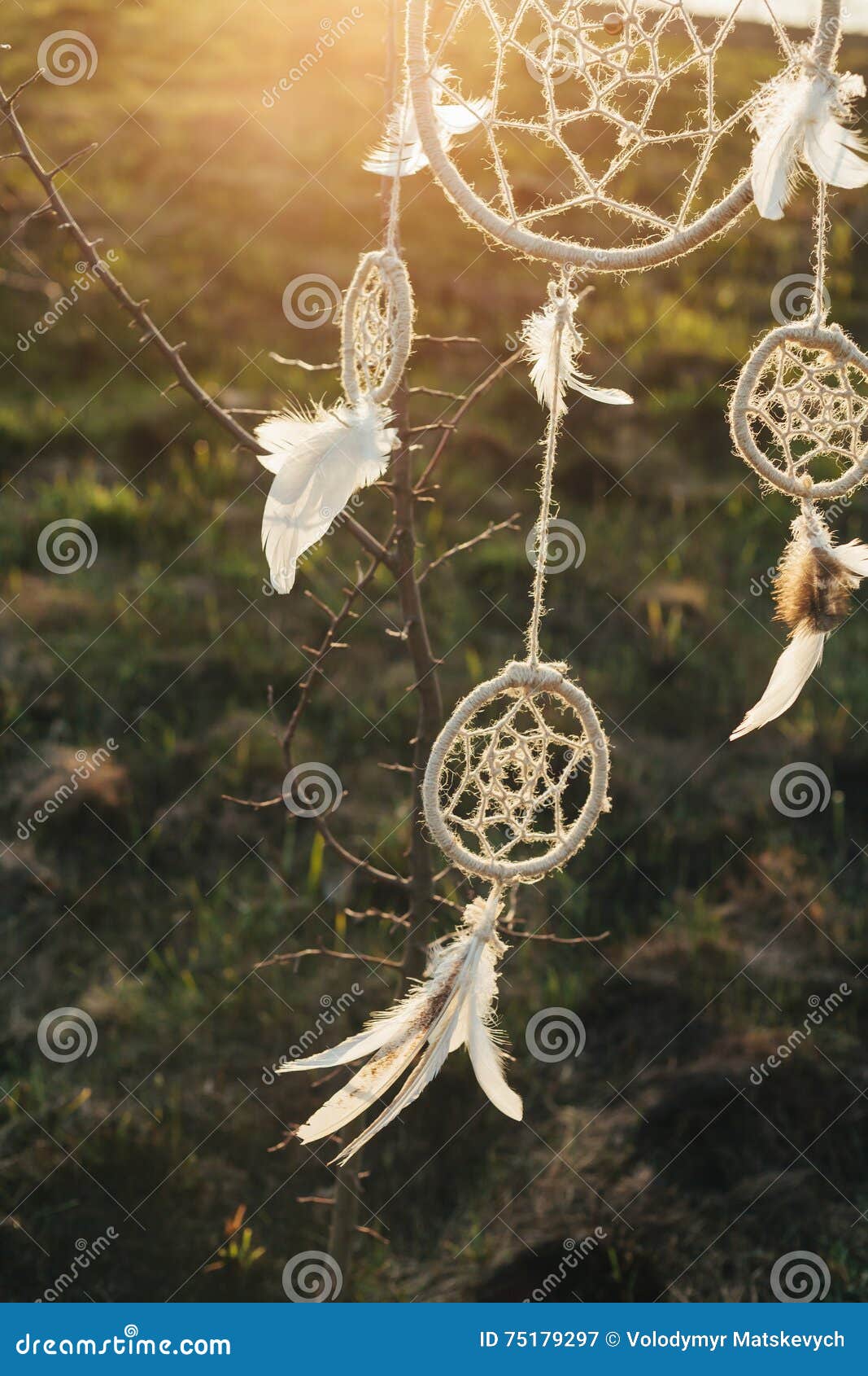 Dream Catcher Hanging from a Tree in a Field at Sunset Stock Image ...
