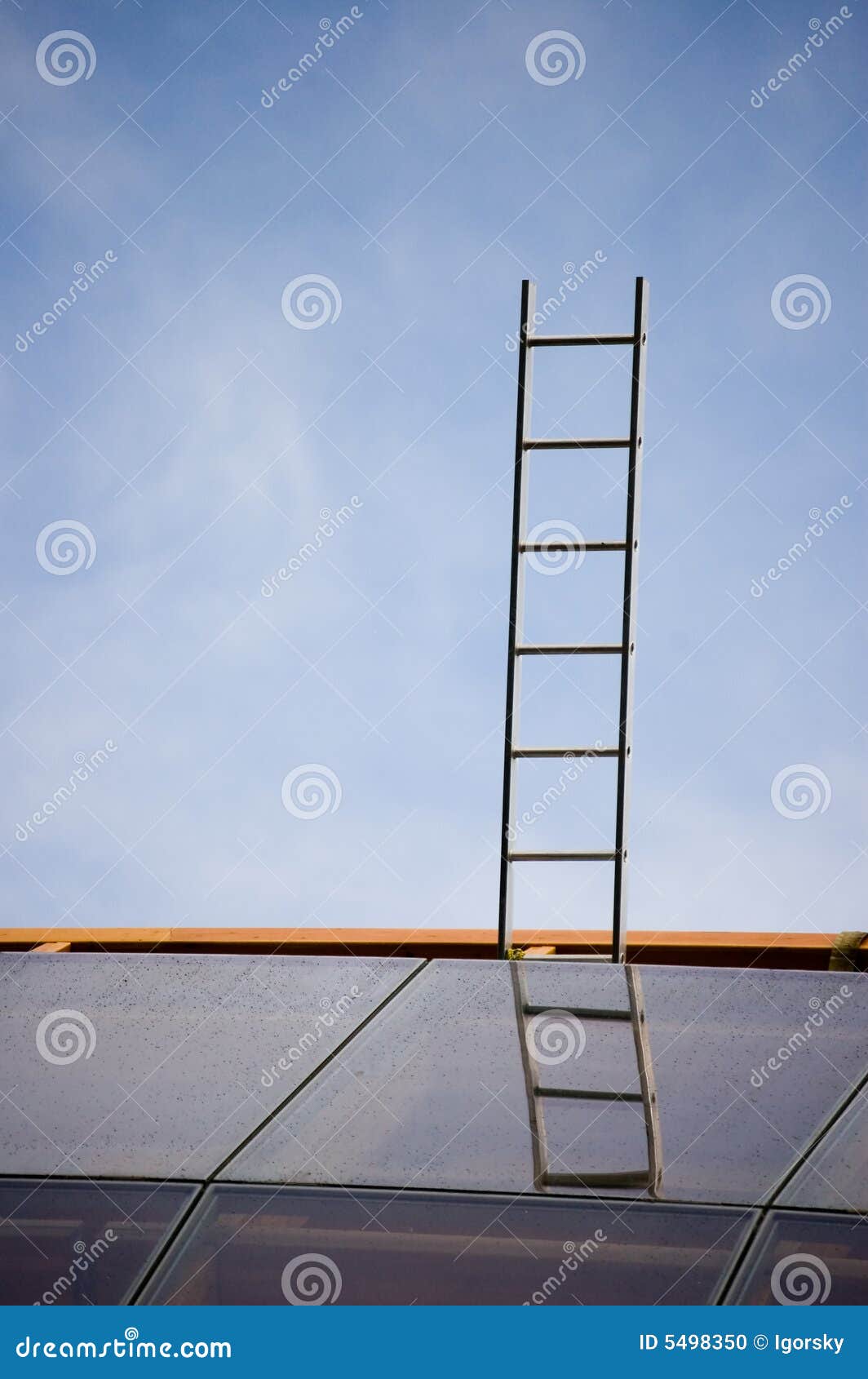 Dream ladder stock photo. Image of roof, ladder, abstract - 5498350