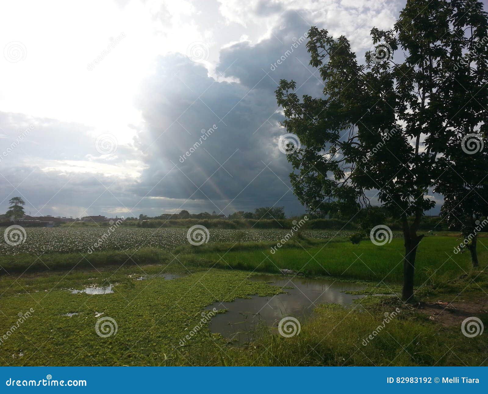 Dream lake stock photo. Image of martubung, lake, nature - 82983192