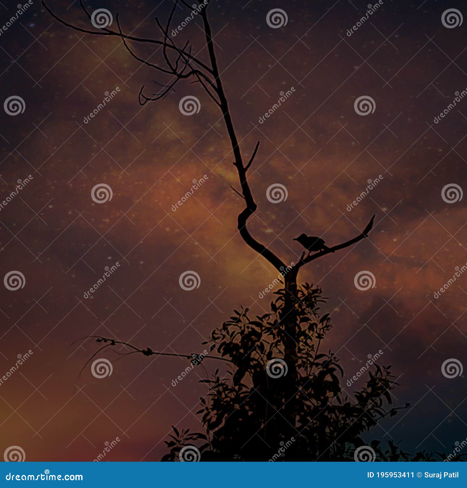 The Dream Nature Beauty and the Bird Stock Image - Image of poster ...
