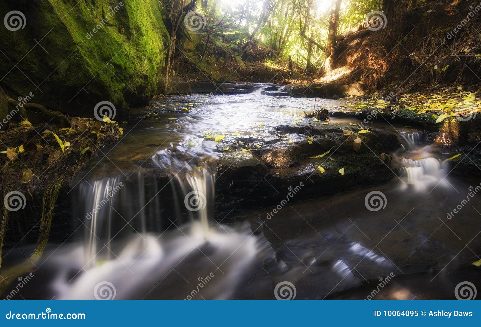Dream stream stock image. Image of relaxing, relax, tree - 10064095 Dream stream stock image. Image of relaxing, relax, tree - 10064095