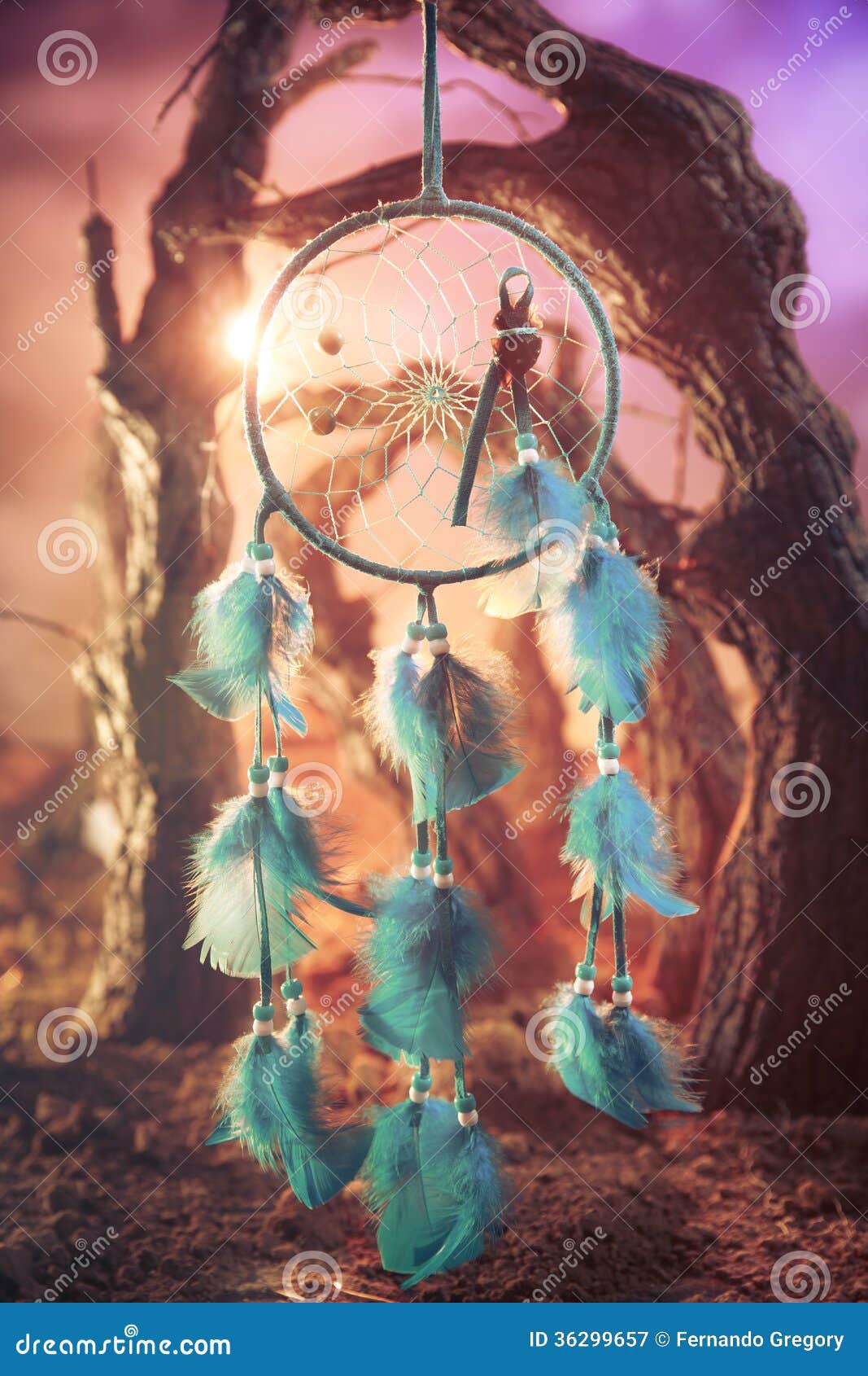 Dreamcatcher on a Forest at Sunset Stock Image - Image of indigenous ...