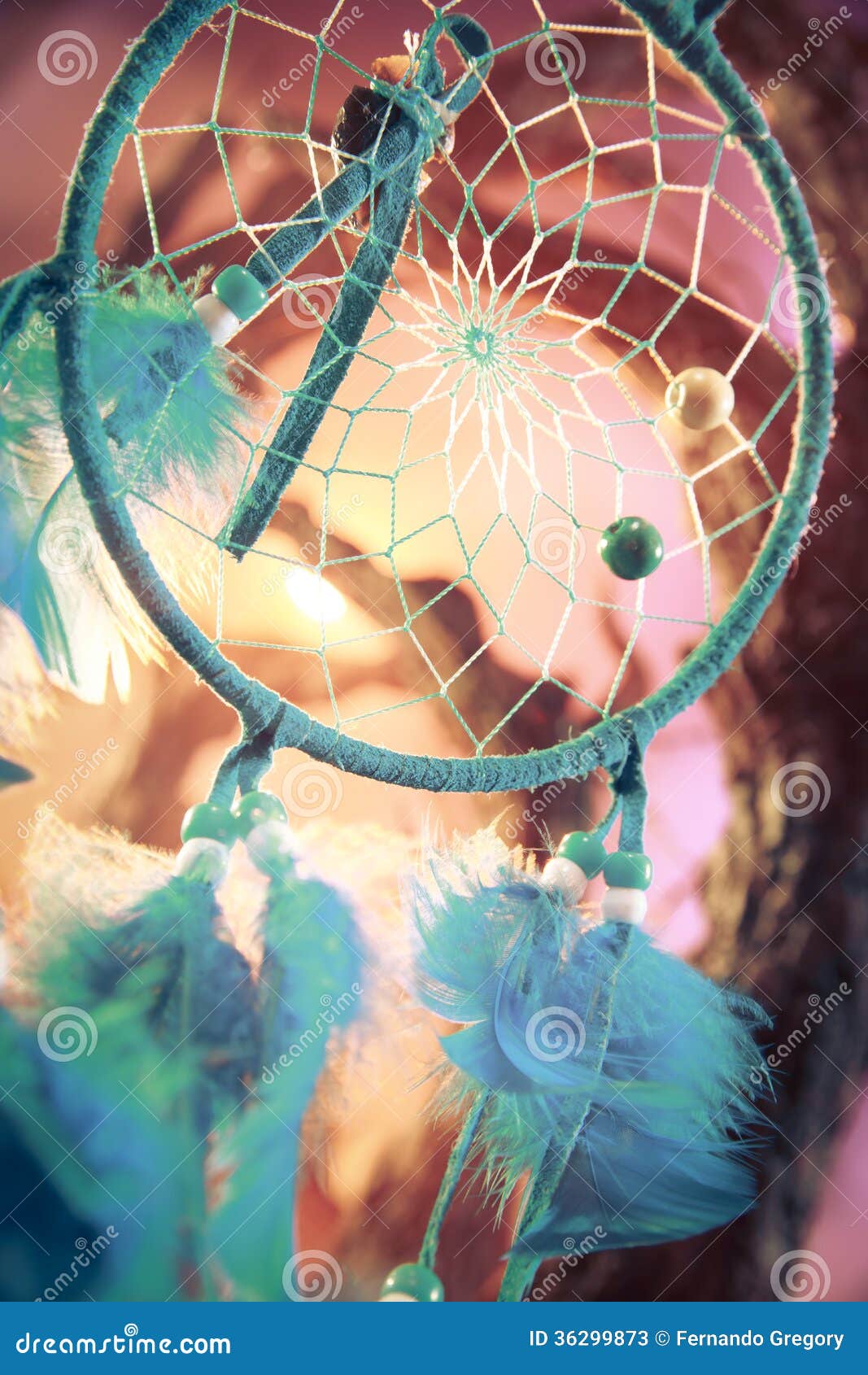 Dreamcatcher on a Forest at Sunset Stock Image - Image of forest ...