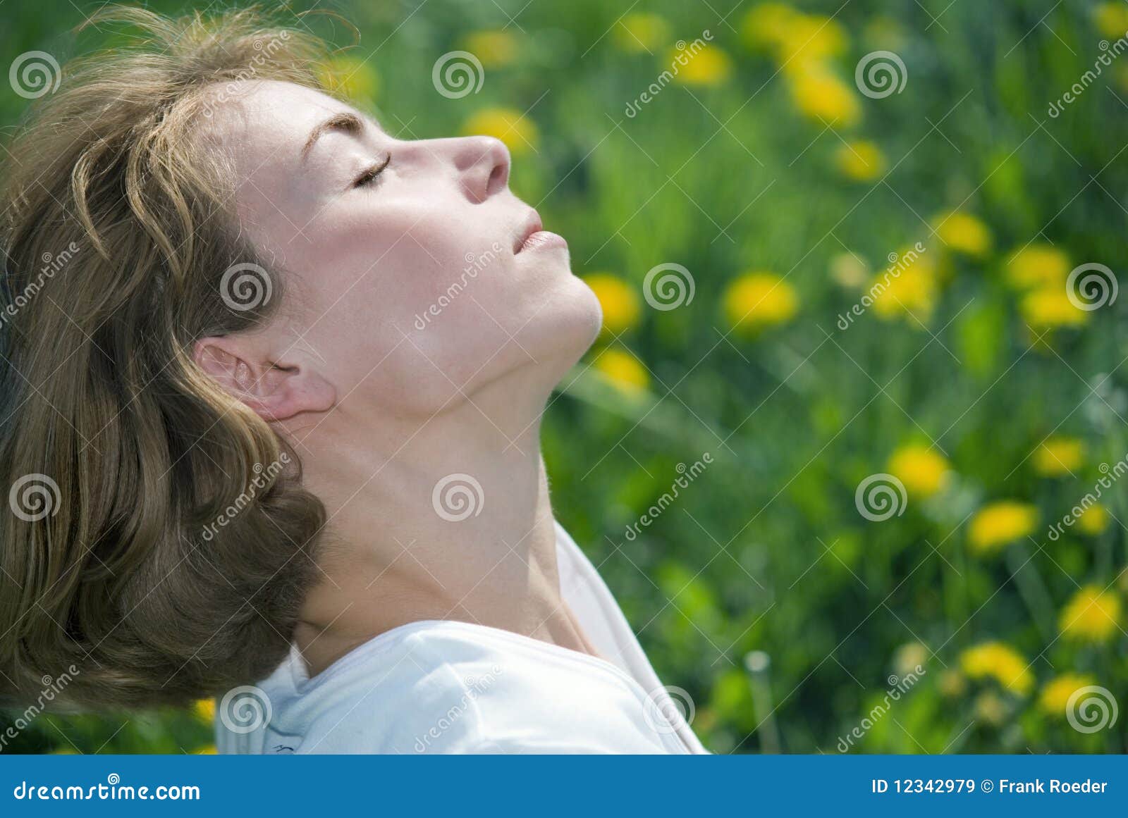 The dreamer stock image. Image of life, horizontal, angle - 12342979