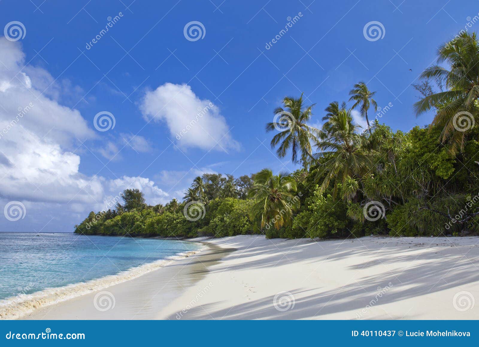 Dreaming Beach stock image. Image of water, ocean, azure - 40110437