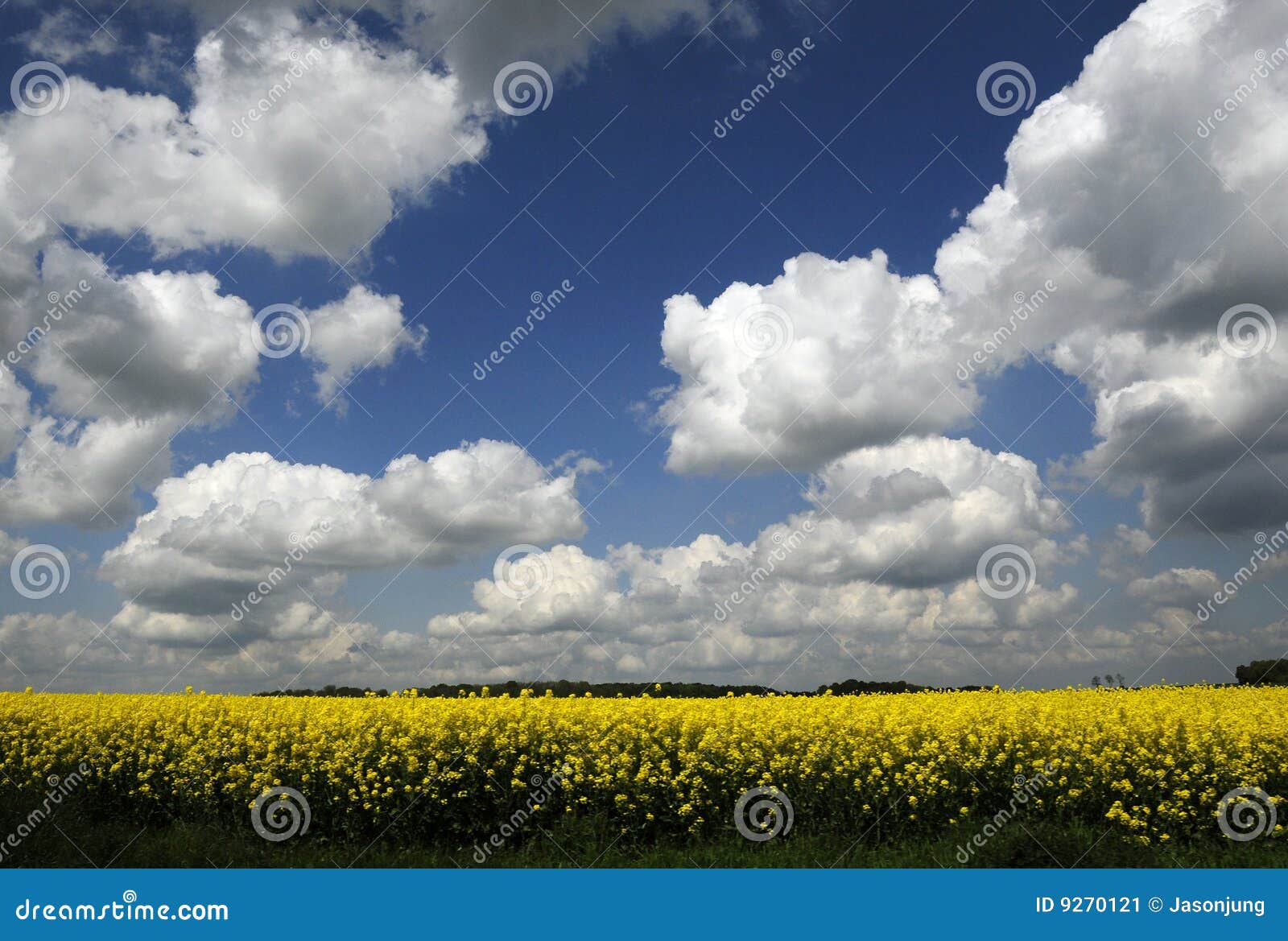 Dreaming Flowerland with Cloudy Sky Stock Image - Image of cloudy ...