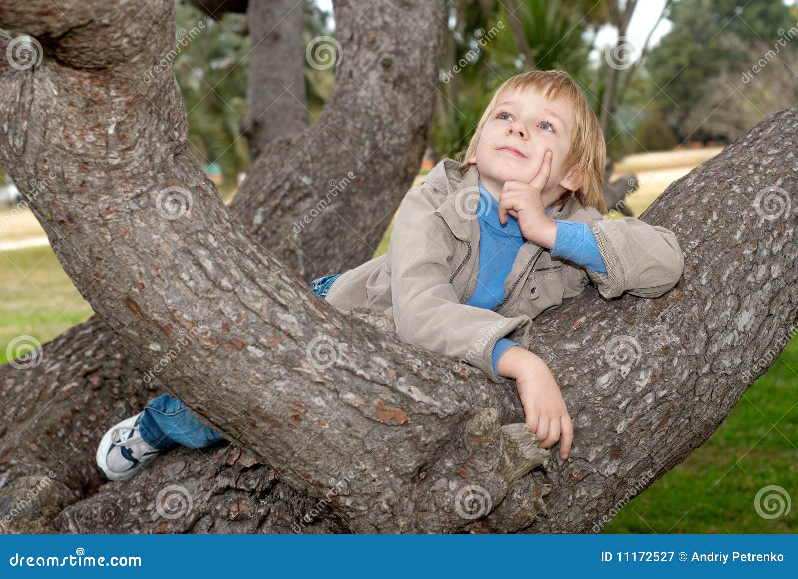 The Dreaming Little Boy on a Tree. Stock Image - Image of future ...