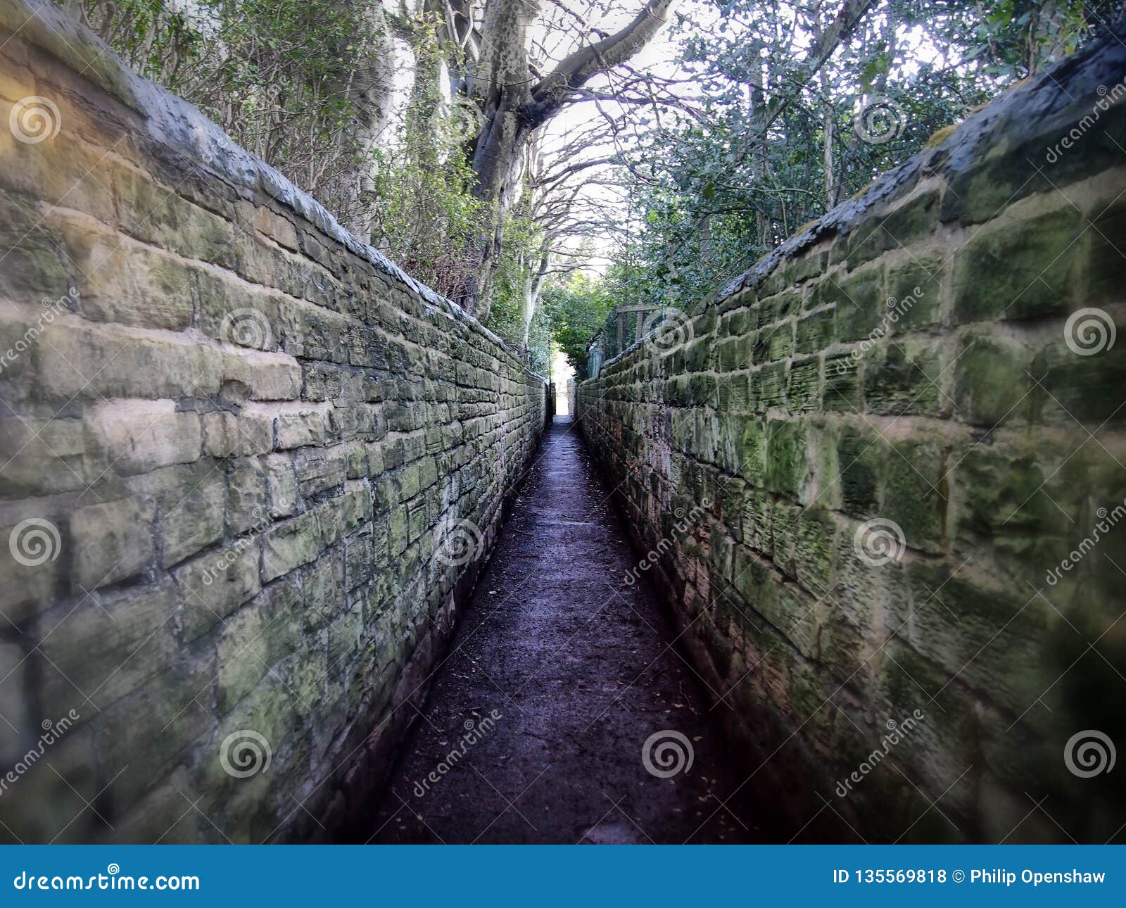 Dreamlike View of a Long Narrow Passageway Surrounded by Stone Walls ...