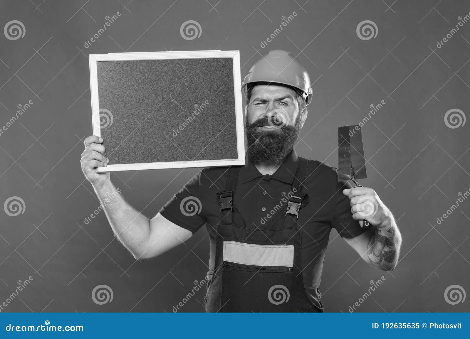 Dreams Come True. Skillful Plasterer. Successful Renovation. Bearded ...