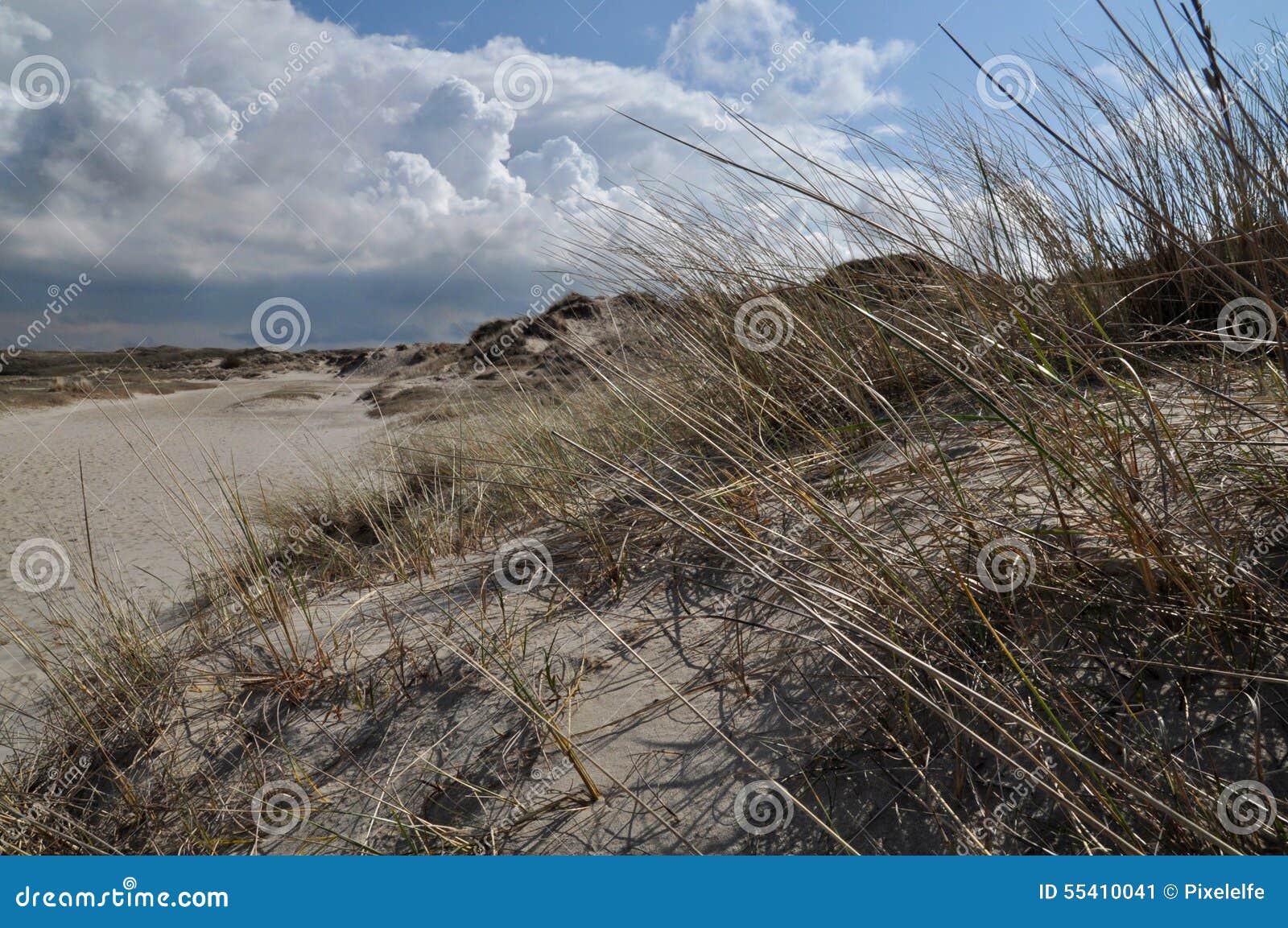 Dreamstime_Dunes stock image. Image of nature, holidays - 55410041