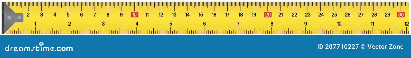 Ruler Centimeter Cm Scale Vector Plastic | CartoonDealer.com #125994821