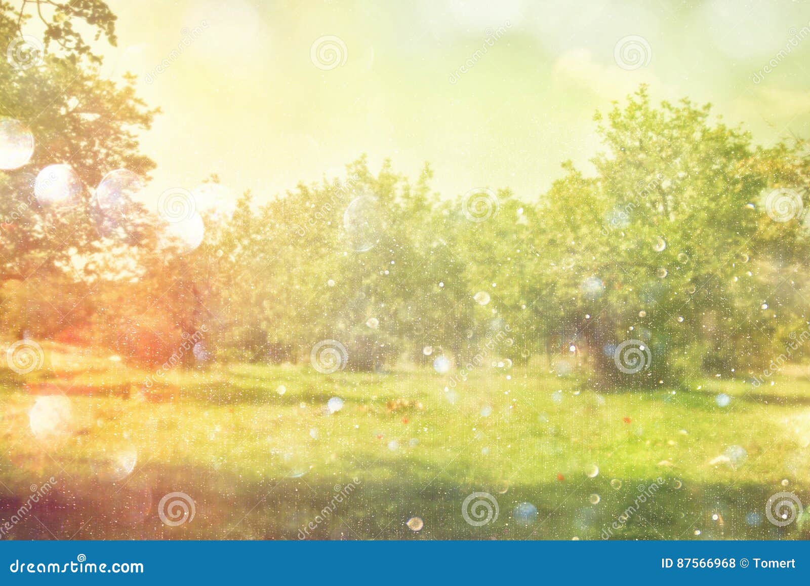 Dreamy and Abstract Image of the Old Trees Stock Photo - Image of ...